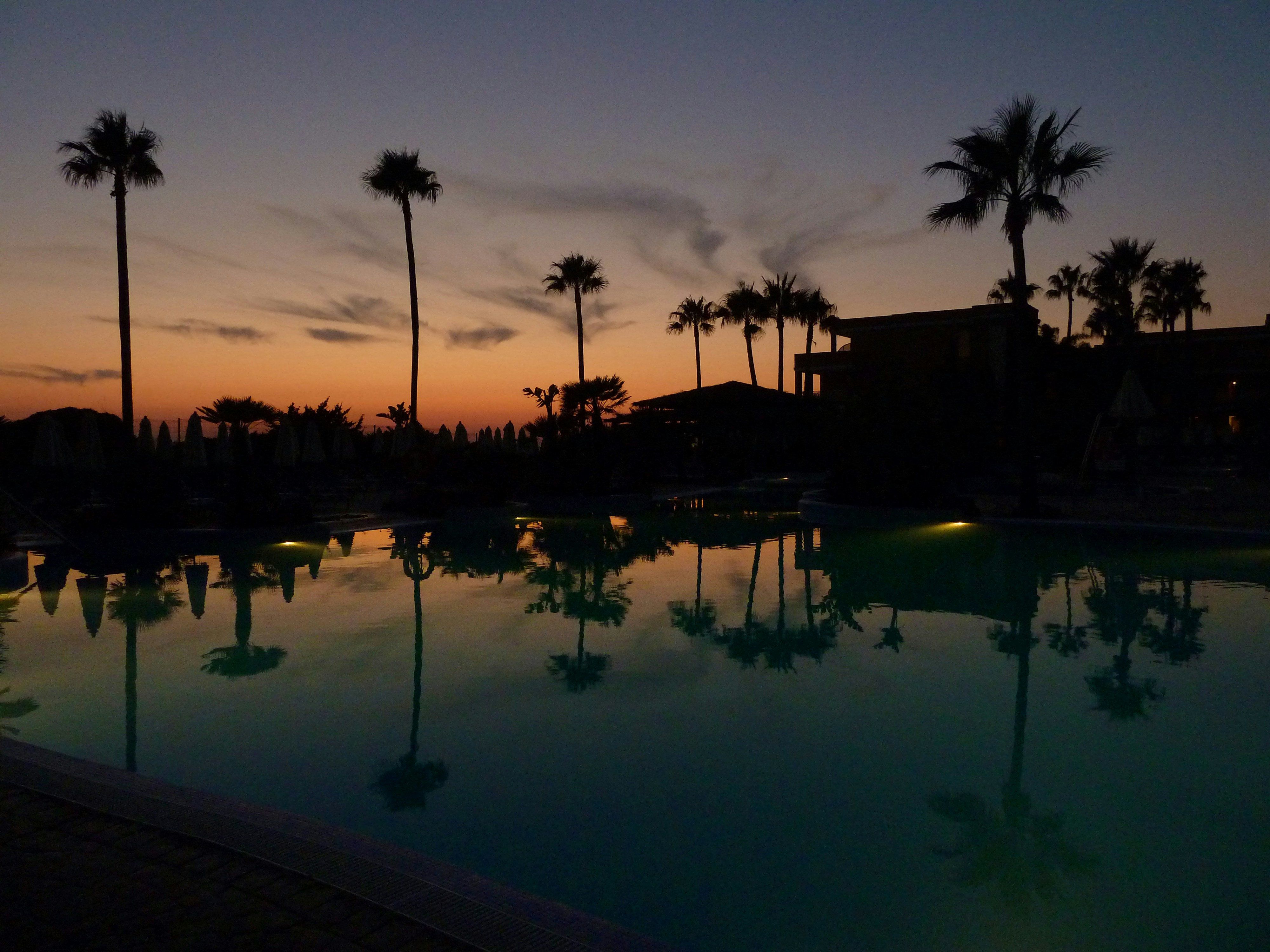 Taken during a vacation in Spain some years ago. | trees near swimming pool