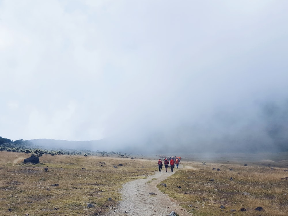 Parc National De Gunung Gede Pangrango Photos | Télécharger des images ...