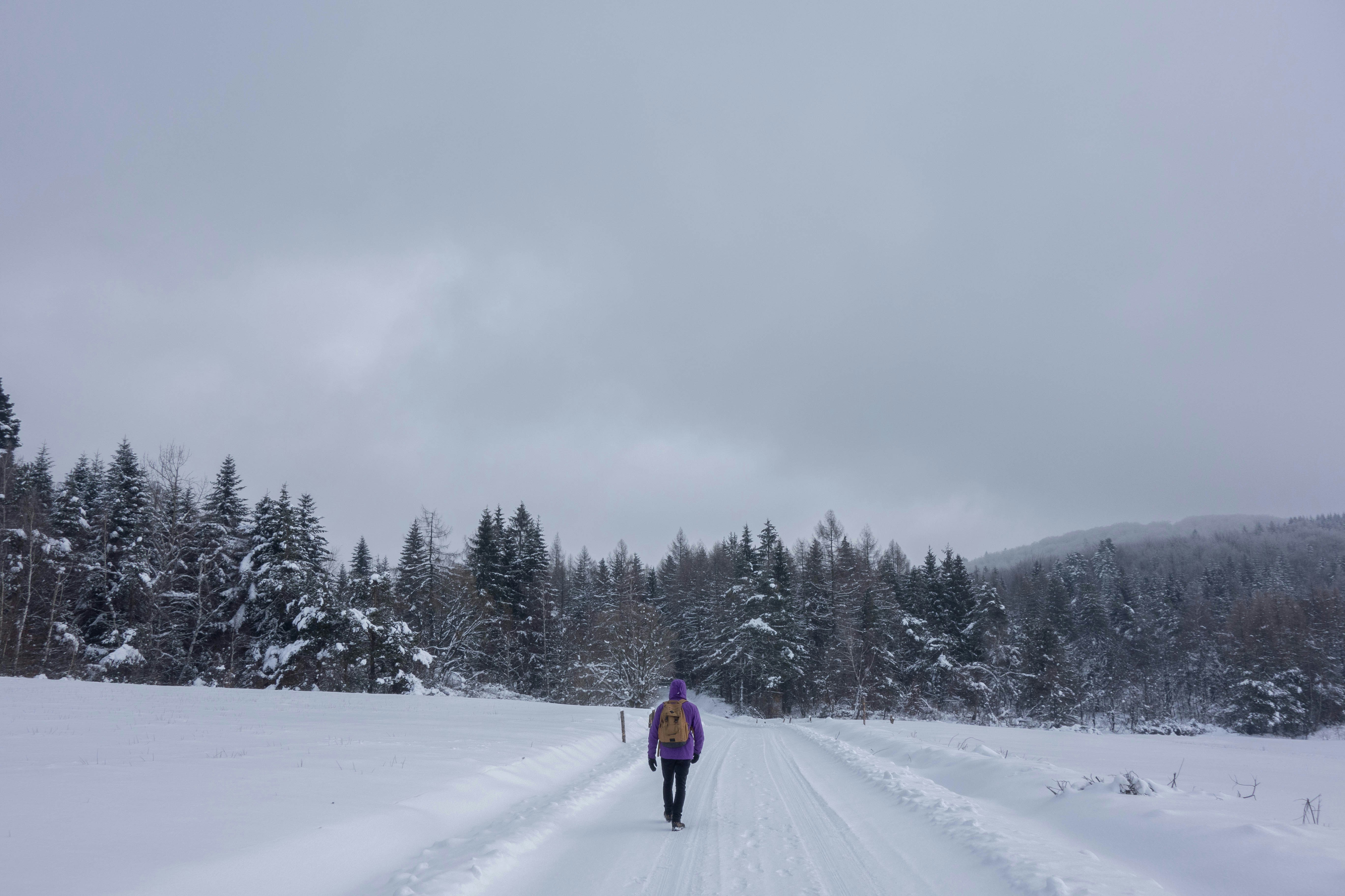 Person walking on snow photo – Free Grey Image on Unsplash