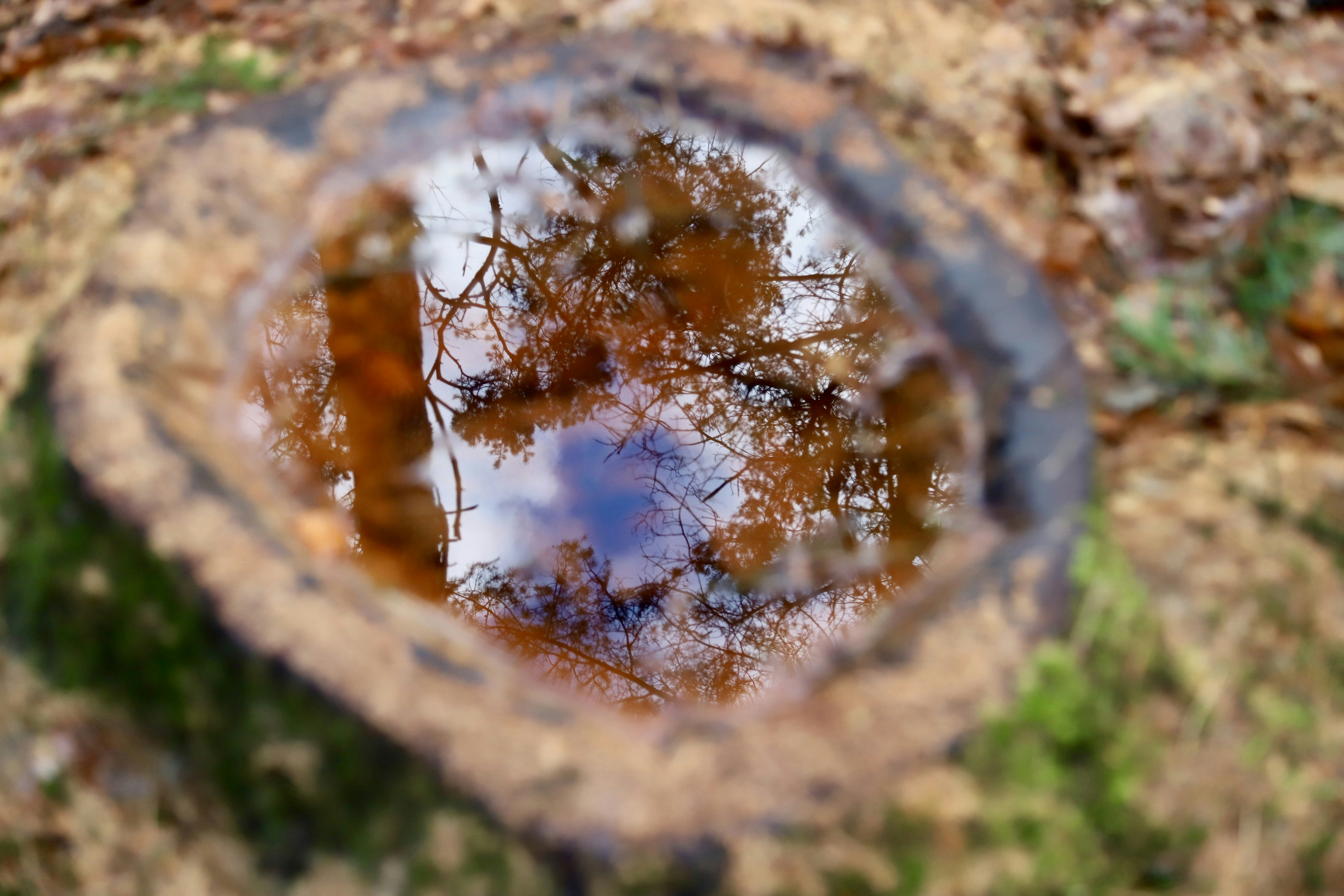 Henk van der Steege (@steegeh) | Comunidade de fotos da Unsplash