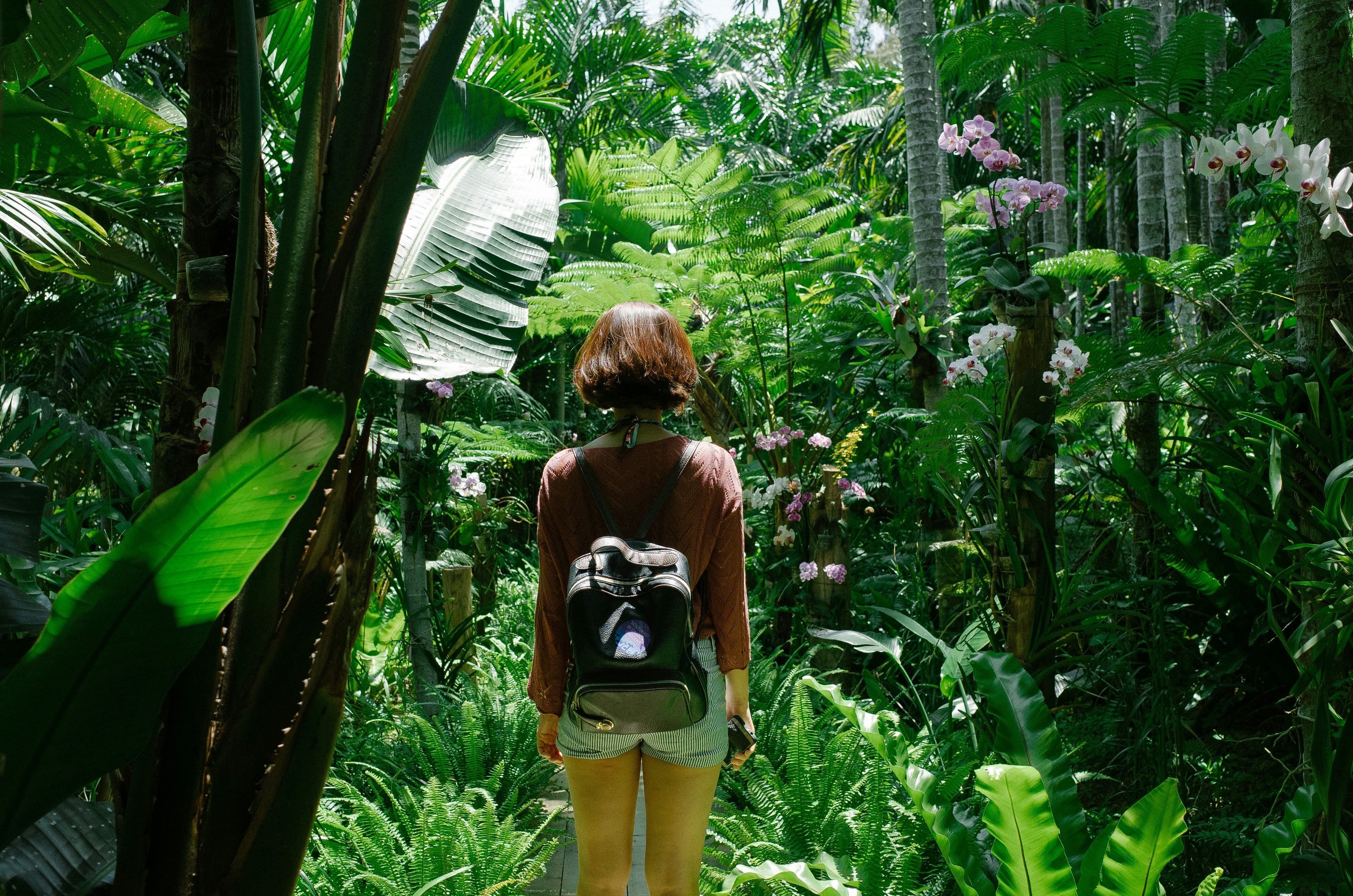 Jacob Plumb (@jacobplumb) | Unsplash Photo Community