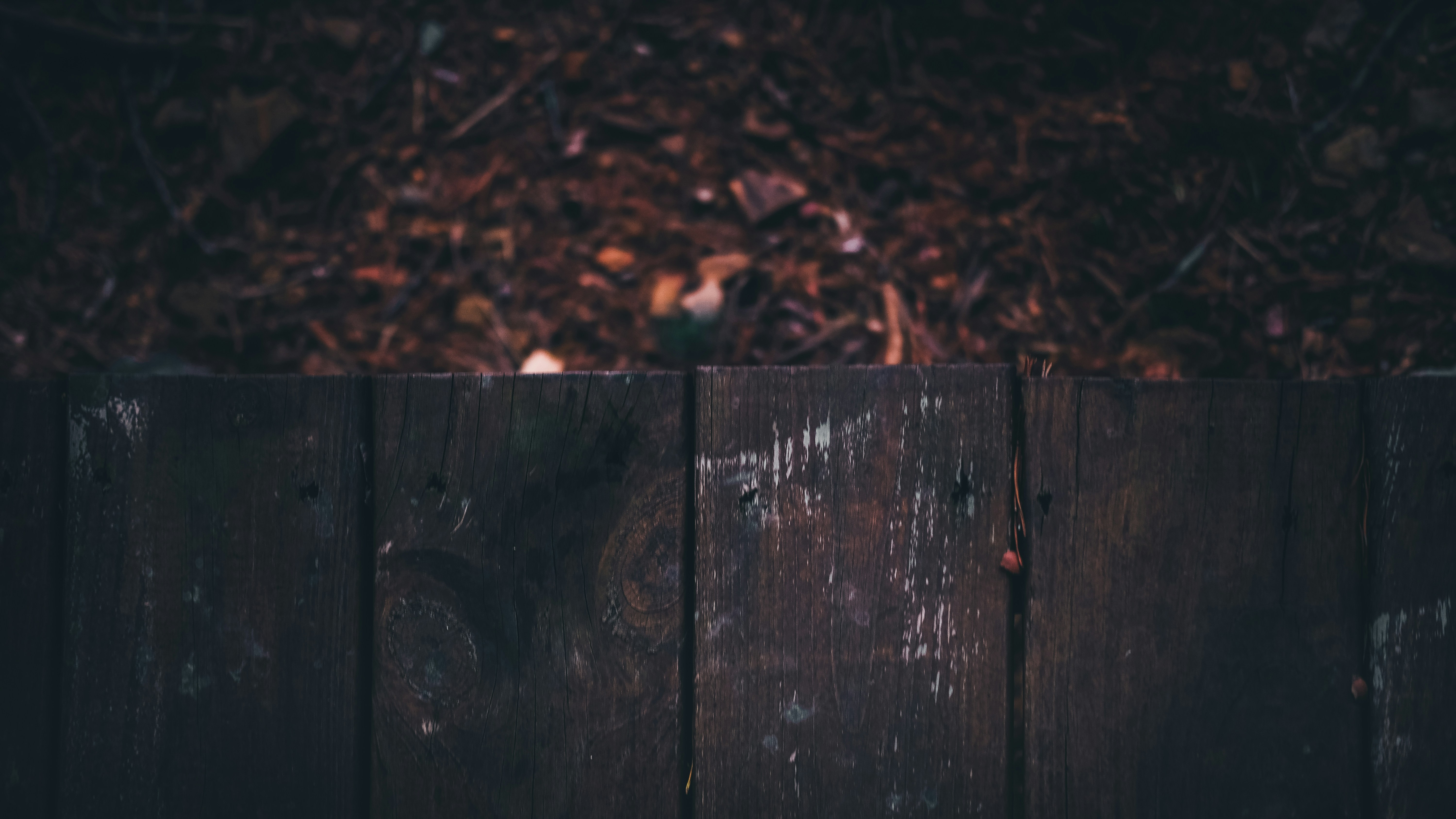 Shallow focus photography of wooden fences photo – Free Grey Image on ...