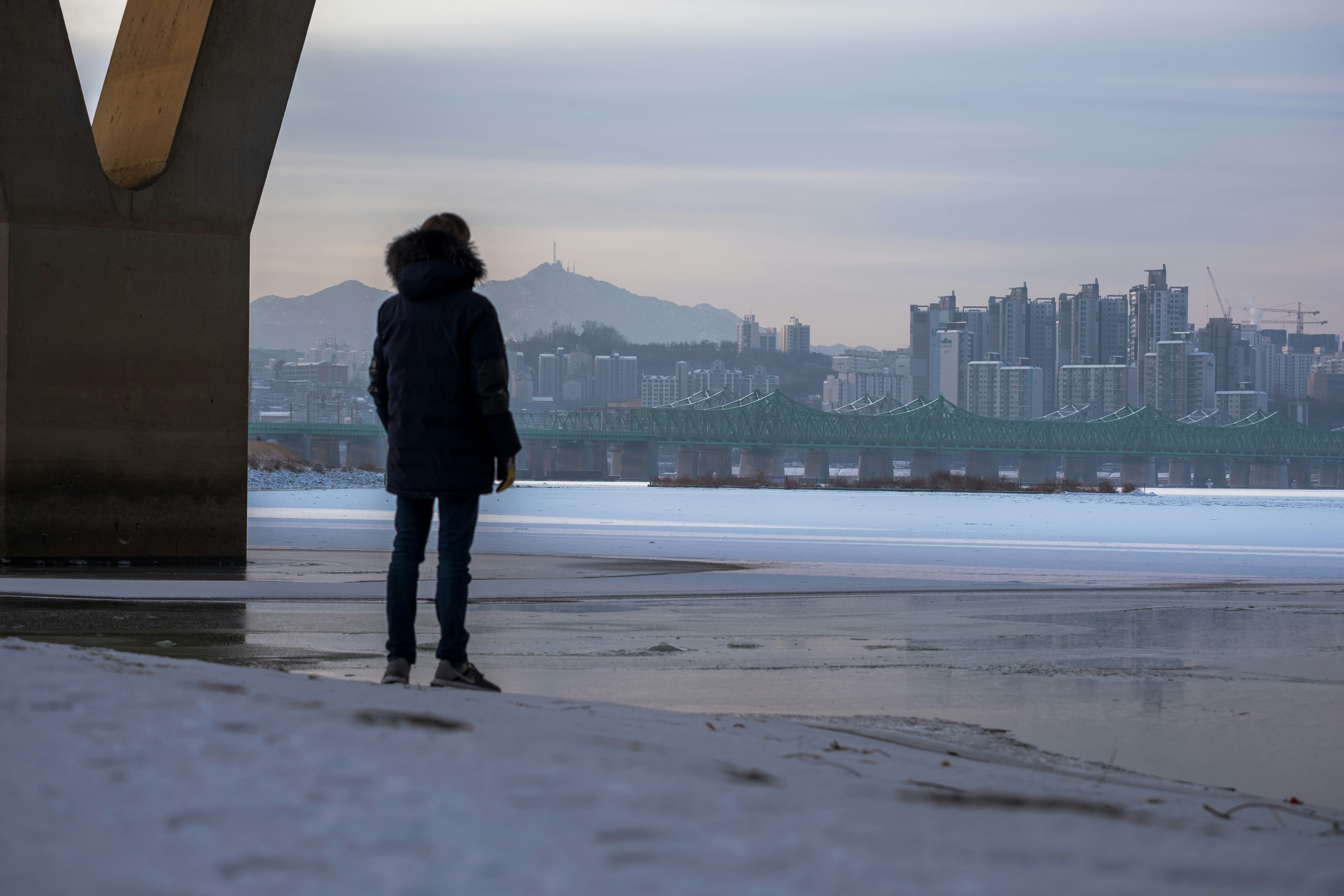 Frozen Silence Over Seoul's First Snow