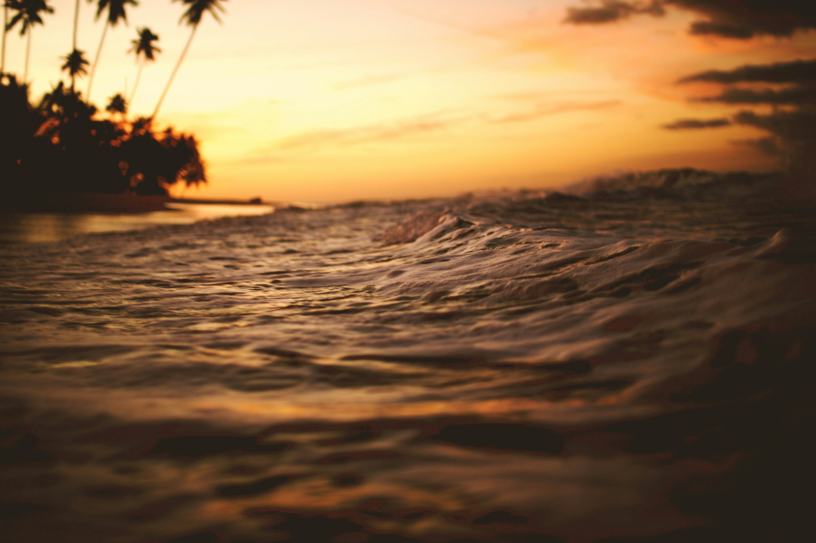 Tropical shoreline with gentle waves under a warm sunset sky and silhouetted palm trees.