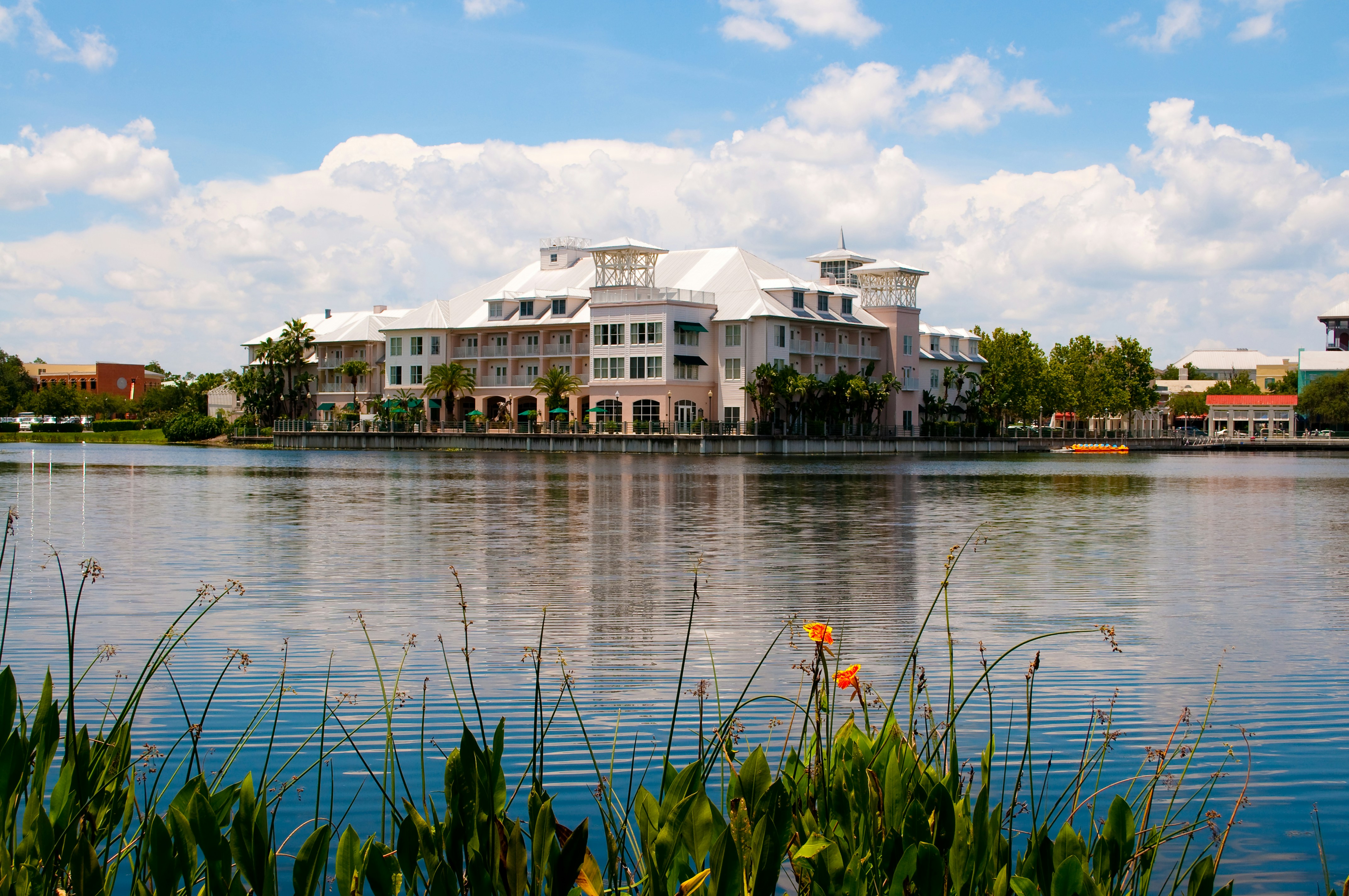 Todd Aarnes (@taarnes) | Unsplash Photo Community