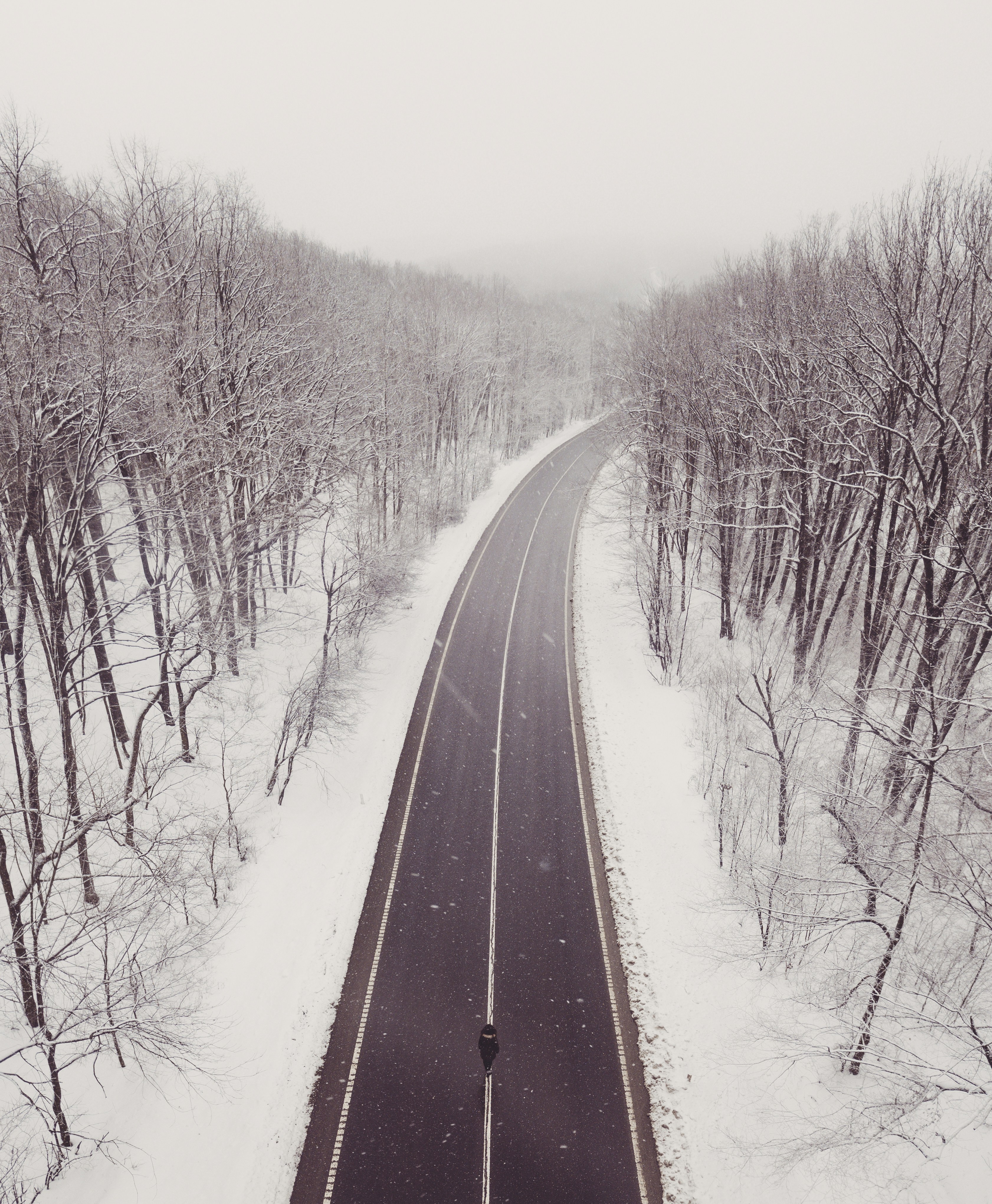 Lone Pictures | Download Free Images & Stock Photos on Unsplash