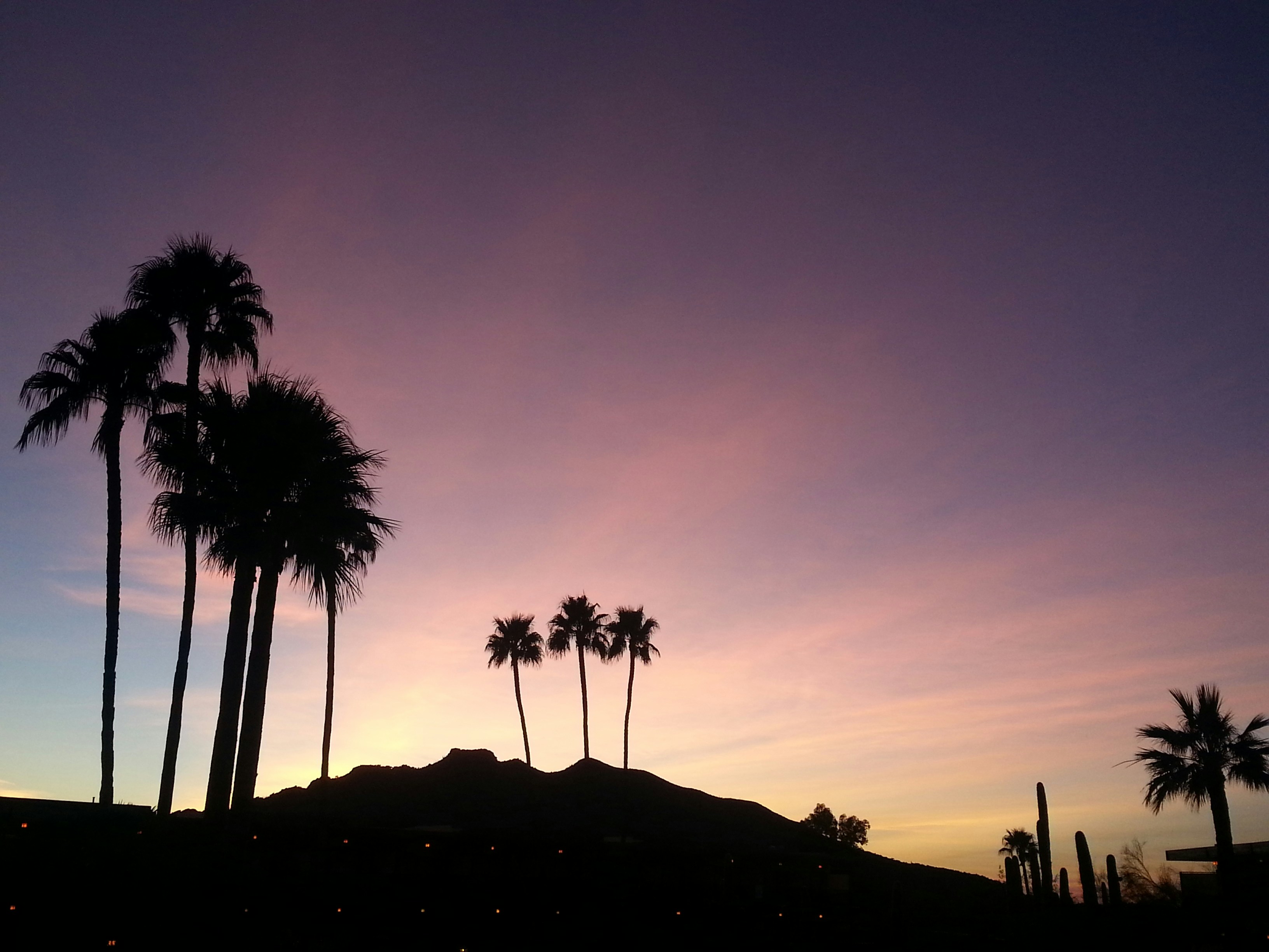 Silhouetted palm trees against a vibrant, colorful sunset sky.