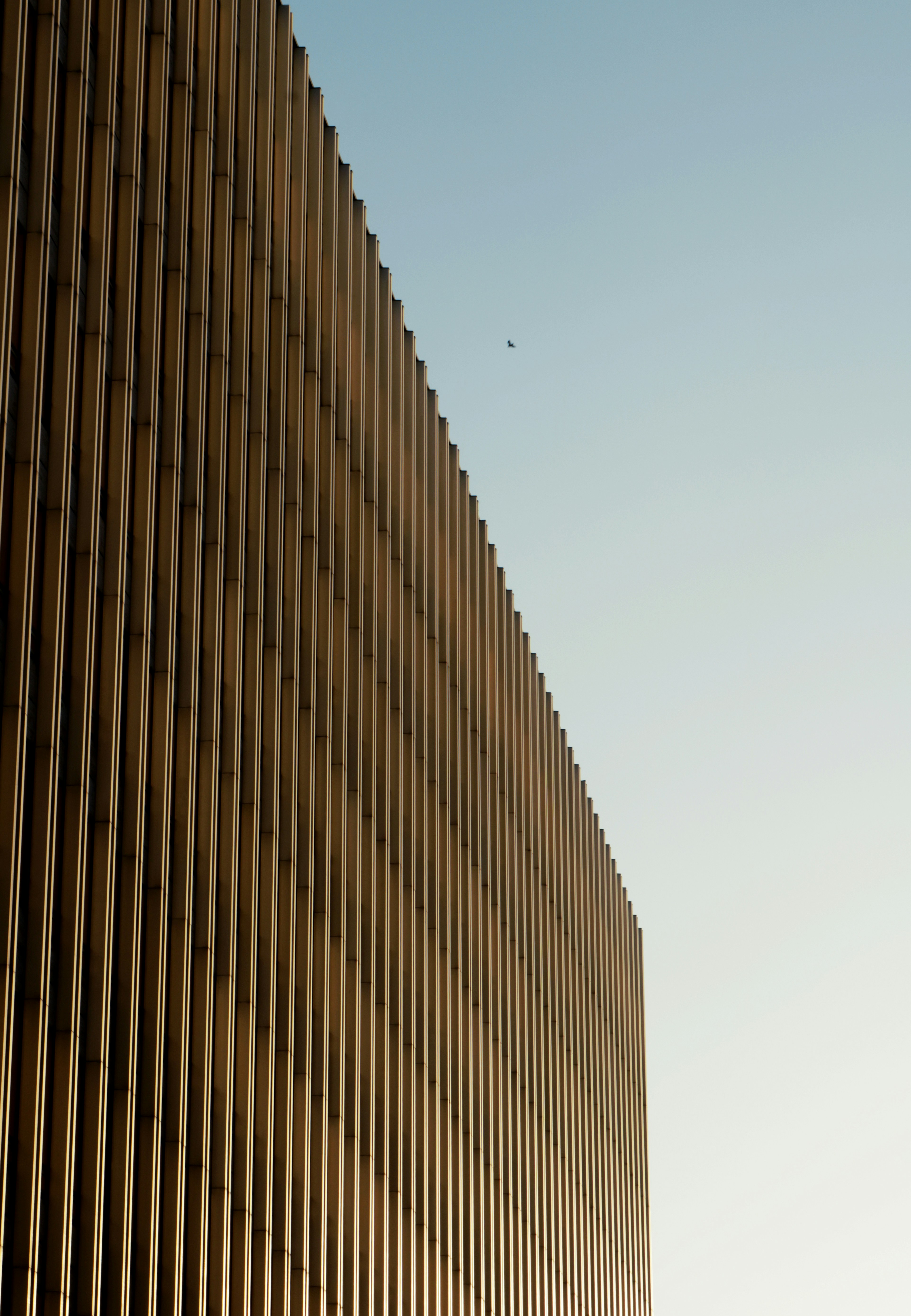 Vertical Lines Against the Sky: A Modern Architectural PerspectiveValdemaras Januška