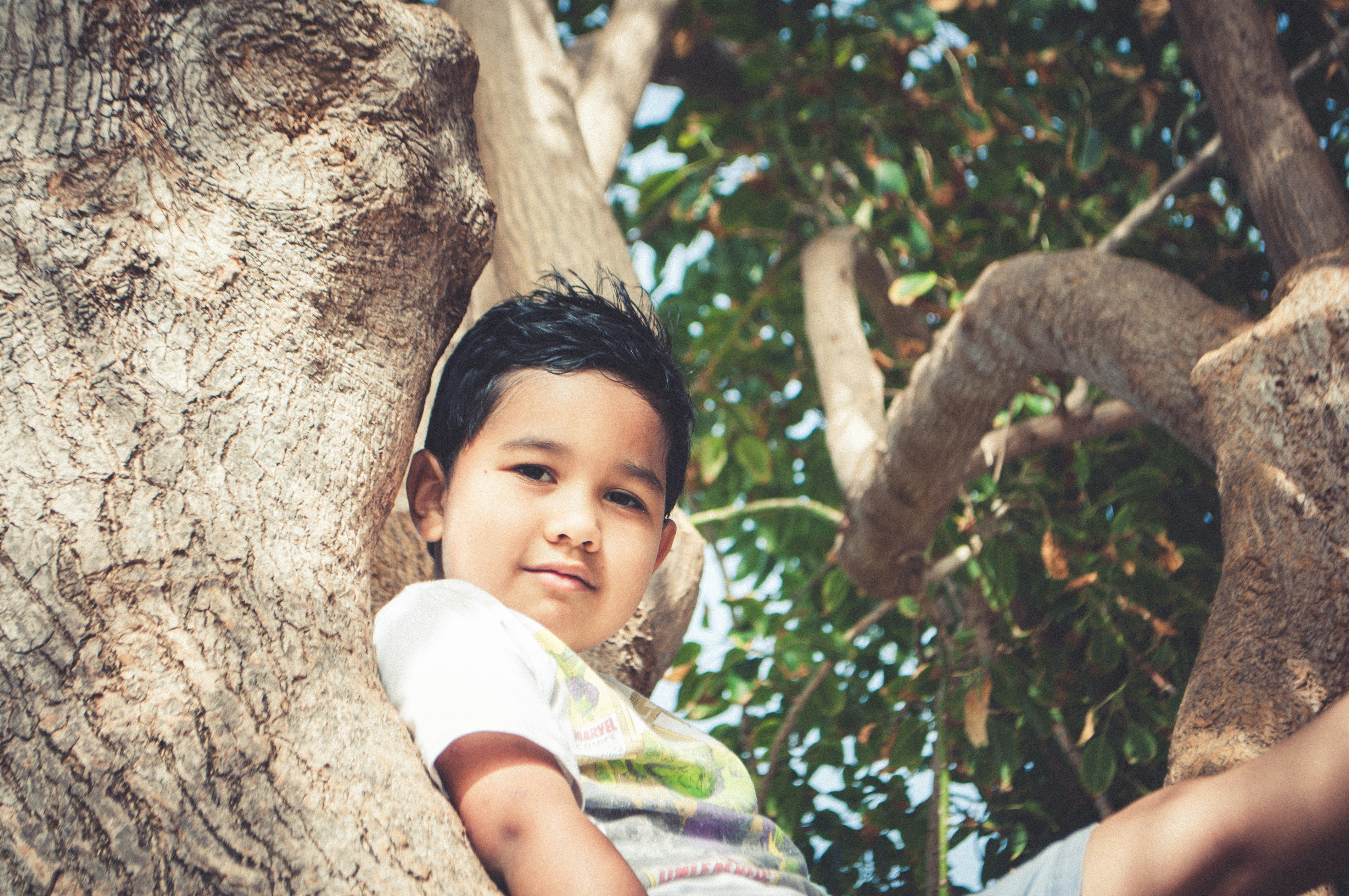 Boy on tree sitting photo – Free Portugal Image on Unsplash