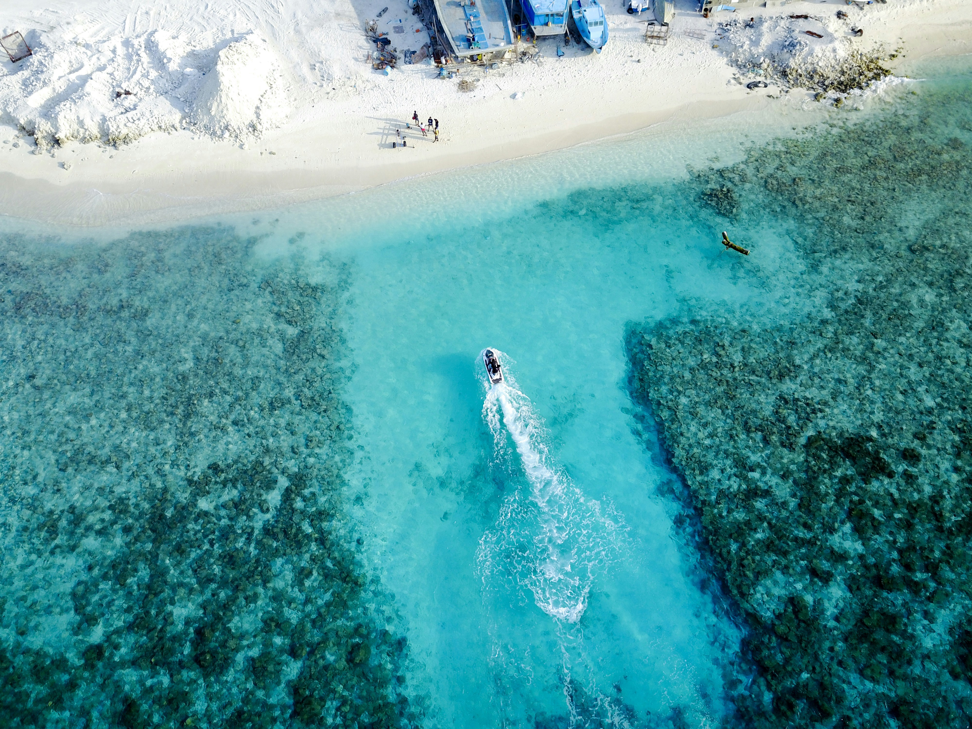 A speedboat glides through clear turquoise waters near a sandy beach, with coral formations visible beneath the surface. The scene captures the tranquility of a tropical paradise.