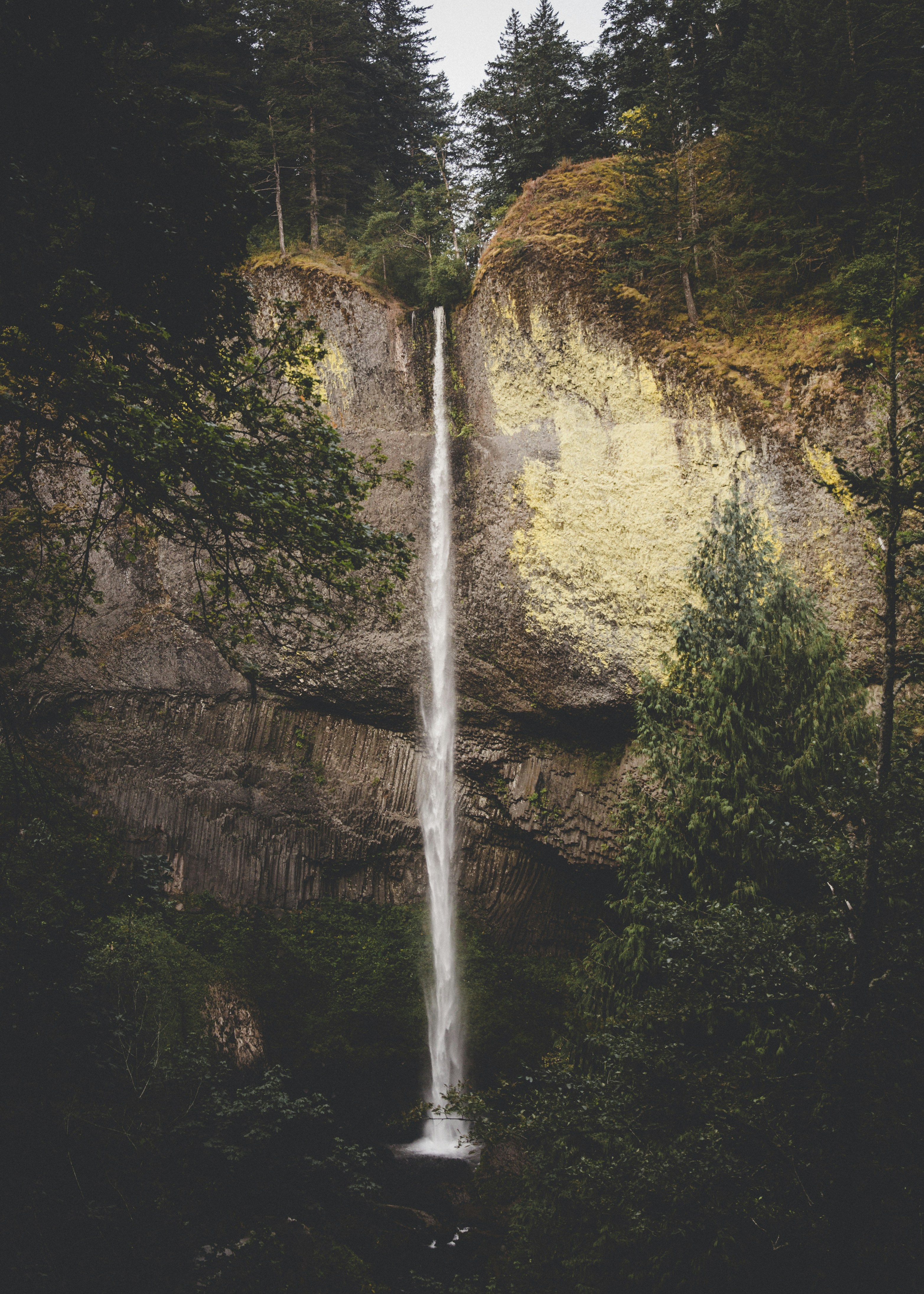 Beautiful Pictures of the Week | Unsplash