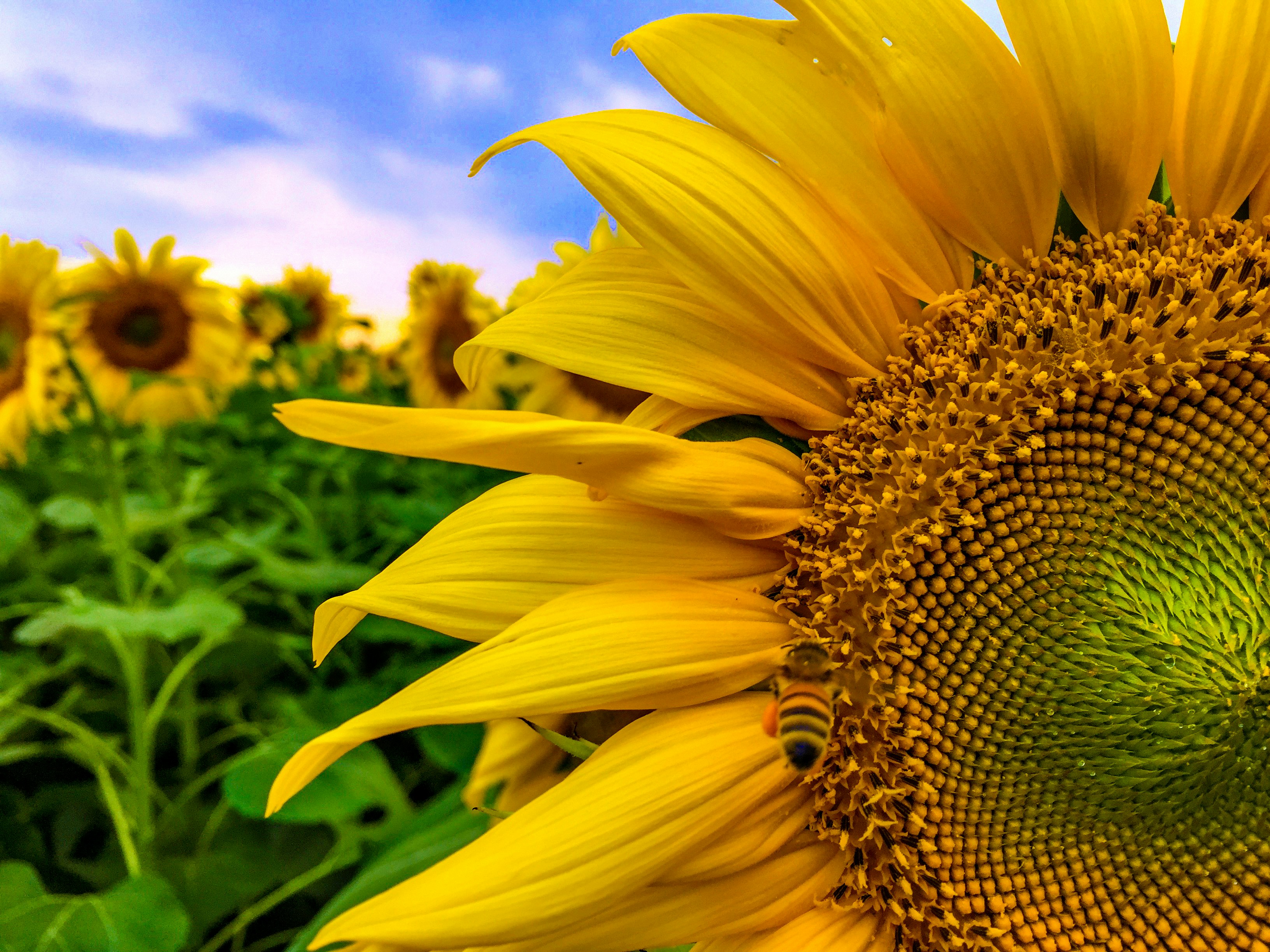 Siming Ye (@siming) | Komunitas Foto Unsplash