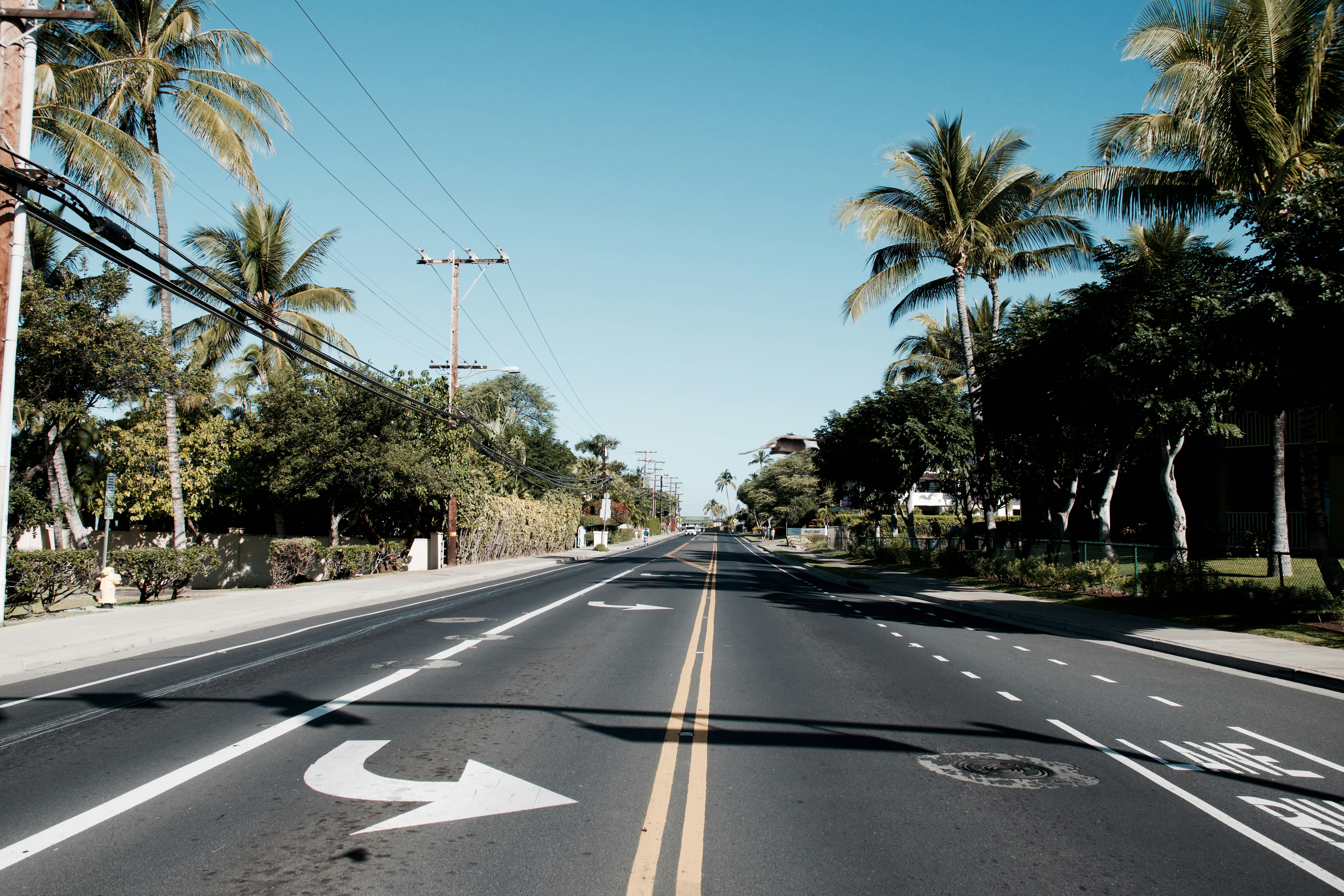 Définition de rectiligne | Dictionnaire français