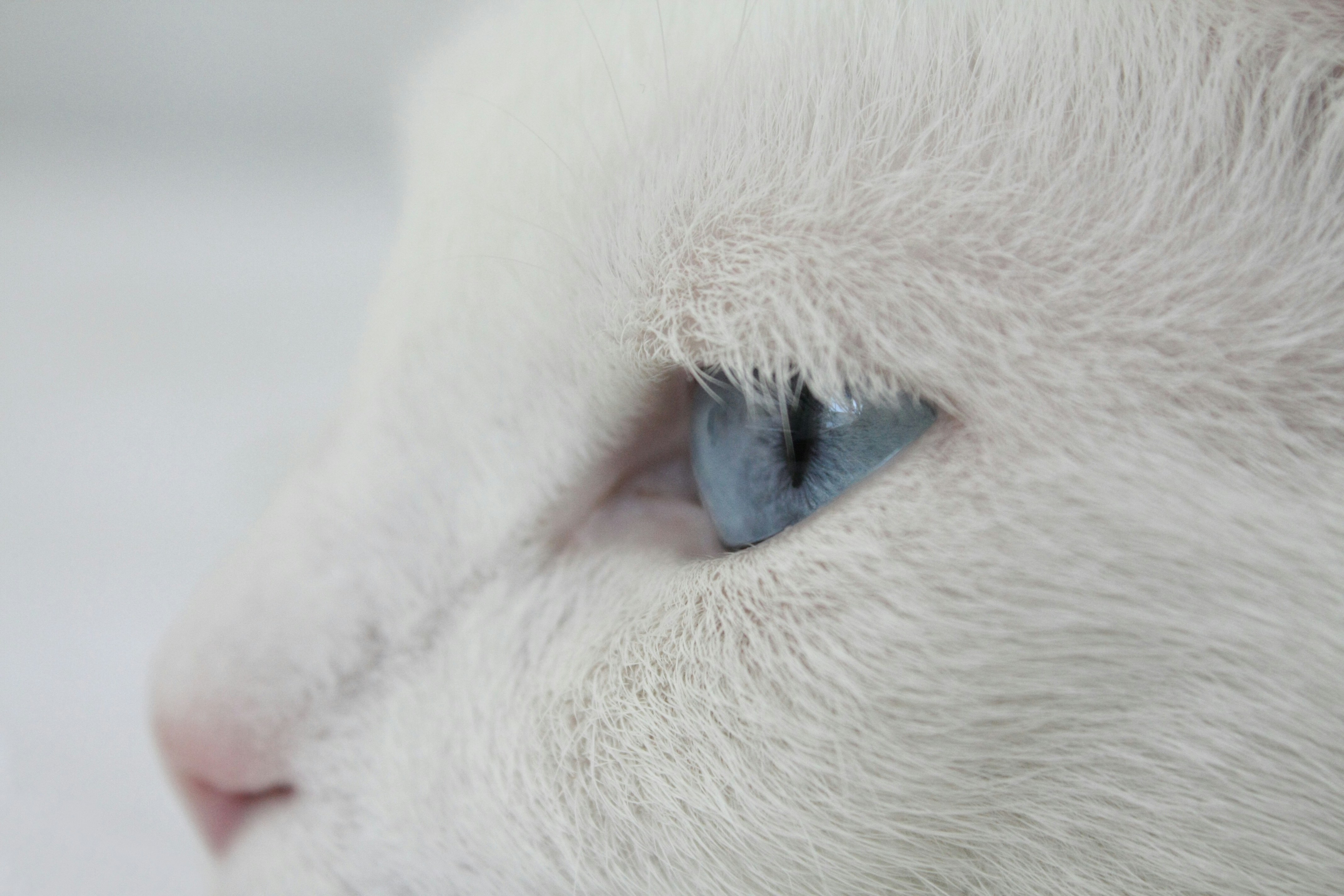 Yaşar Tekeli (@yasart) | Unsplash Photo Community