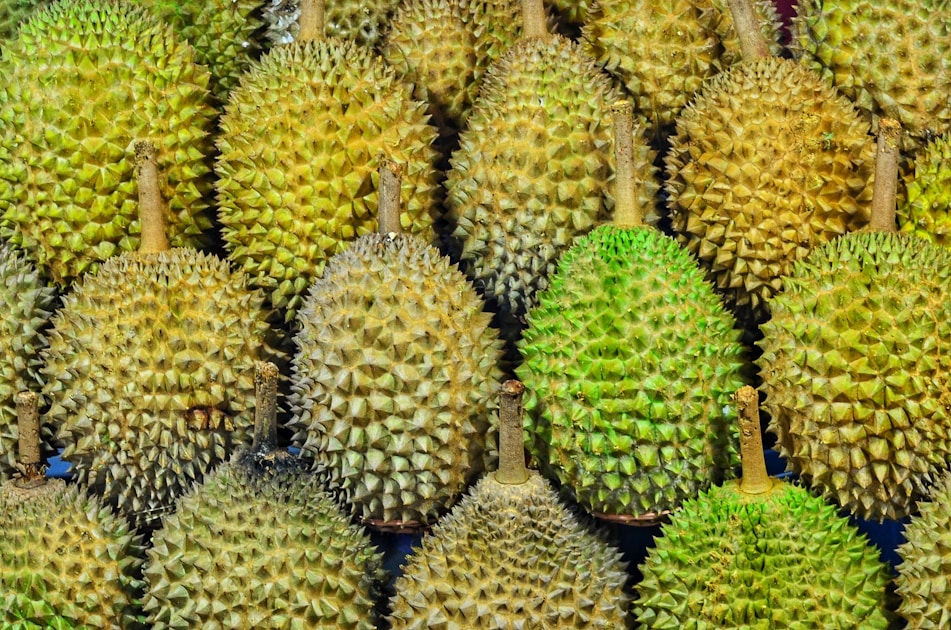 5-Steps to Check a Good Durian | Rolling Durian