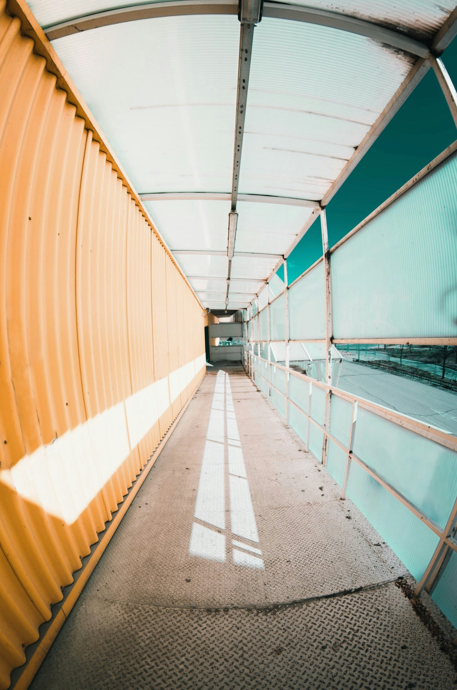 Pathway of tunnel photo – Free Walkway Image on Unsplash