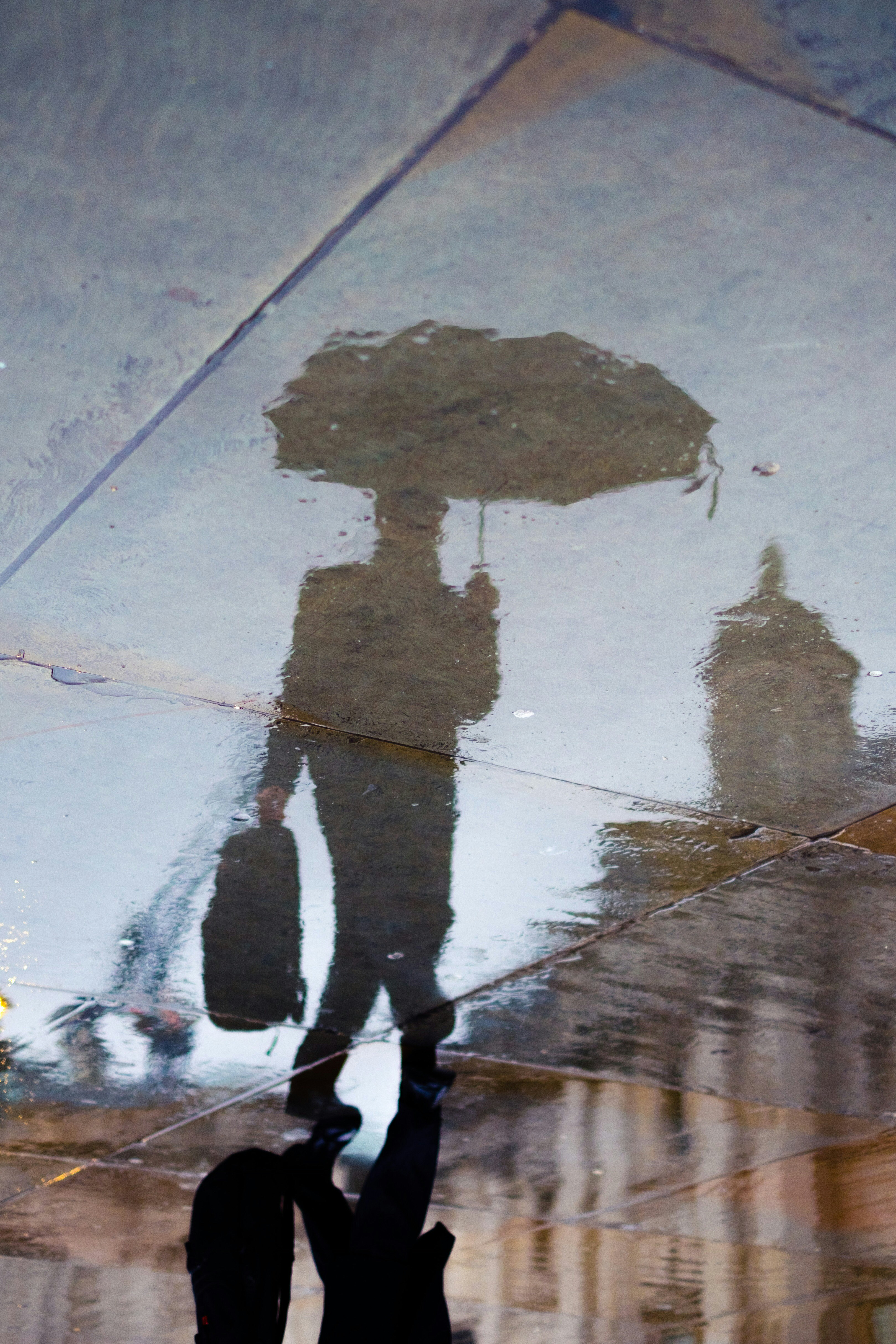 Best 100+ Reflection Pictures | Download Free Images on Unsplash