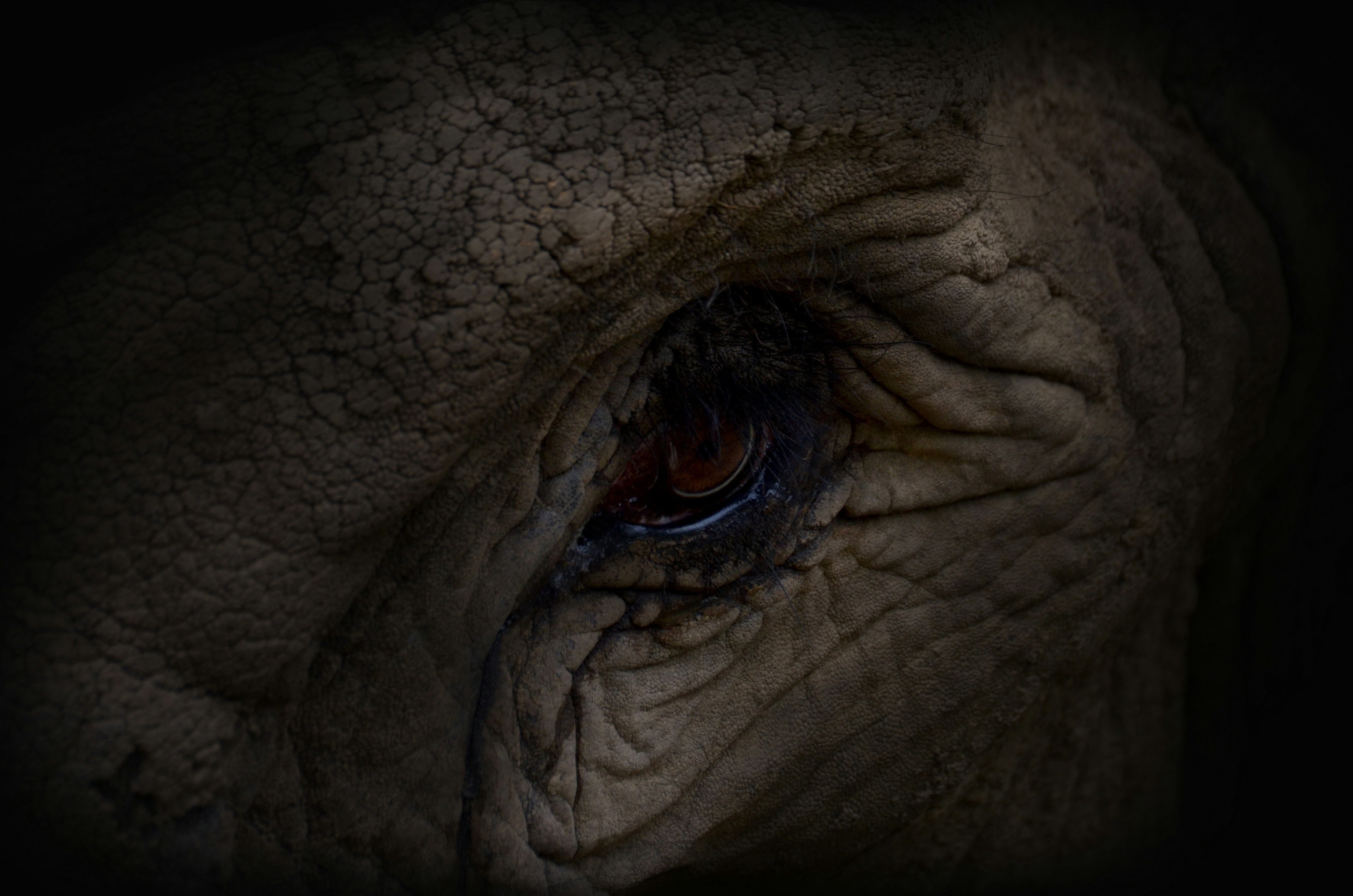 Eye of Time: A Close Portrait in Shadowed Texture
