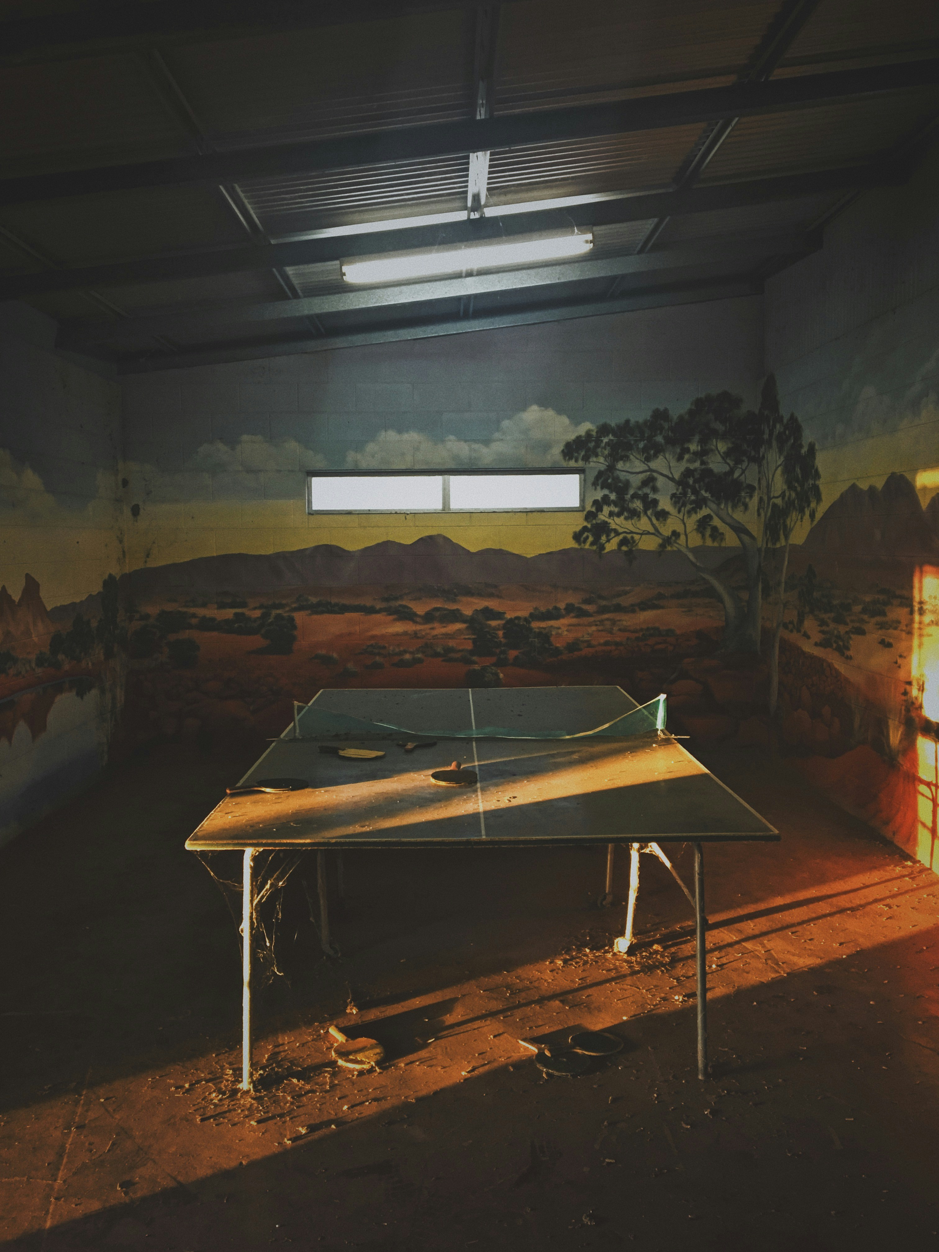 Ping-Pong in the Painted Desert: An Abandoned Hall's Quiet Tale