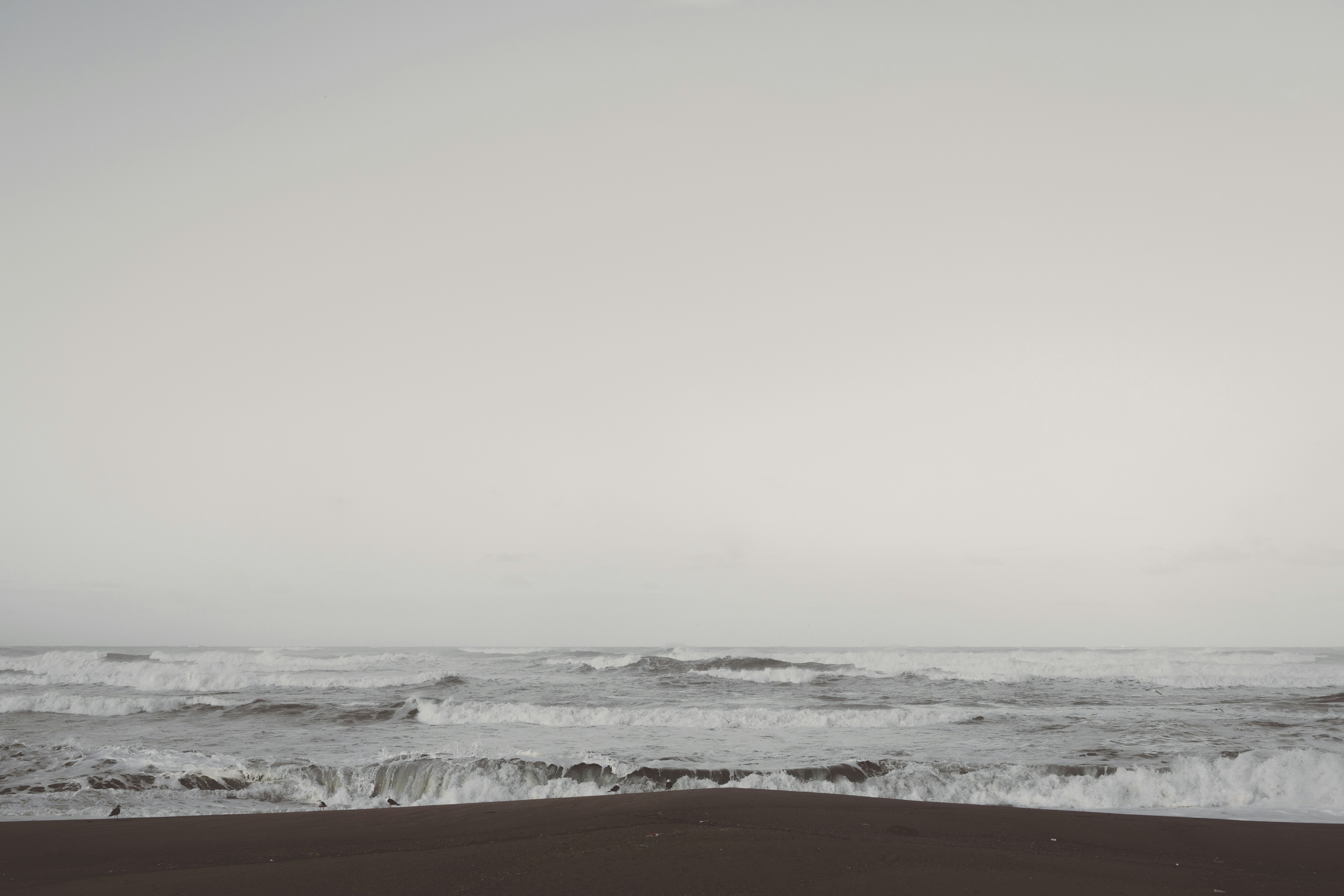 Calm ocean waves gently lapping against a dark sandy shore under a foggy, overcast sky.