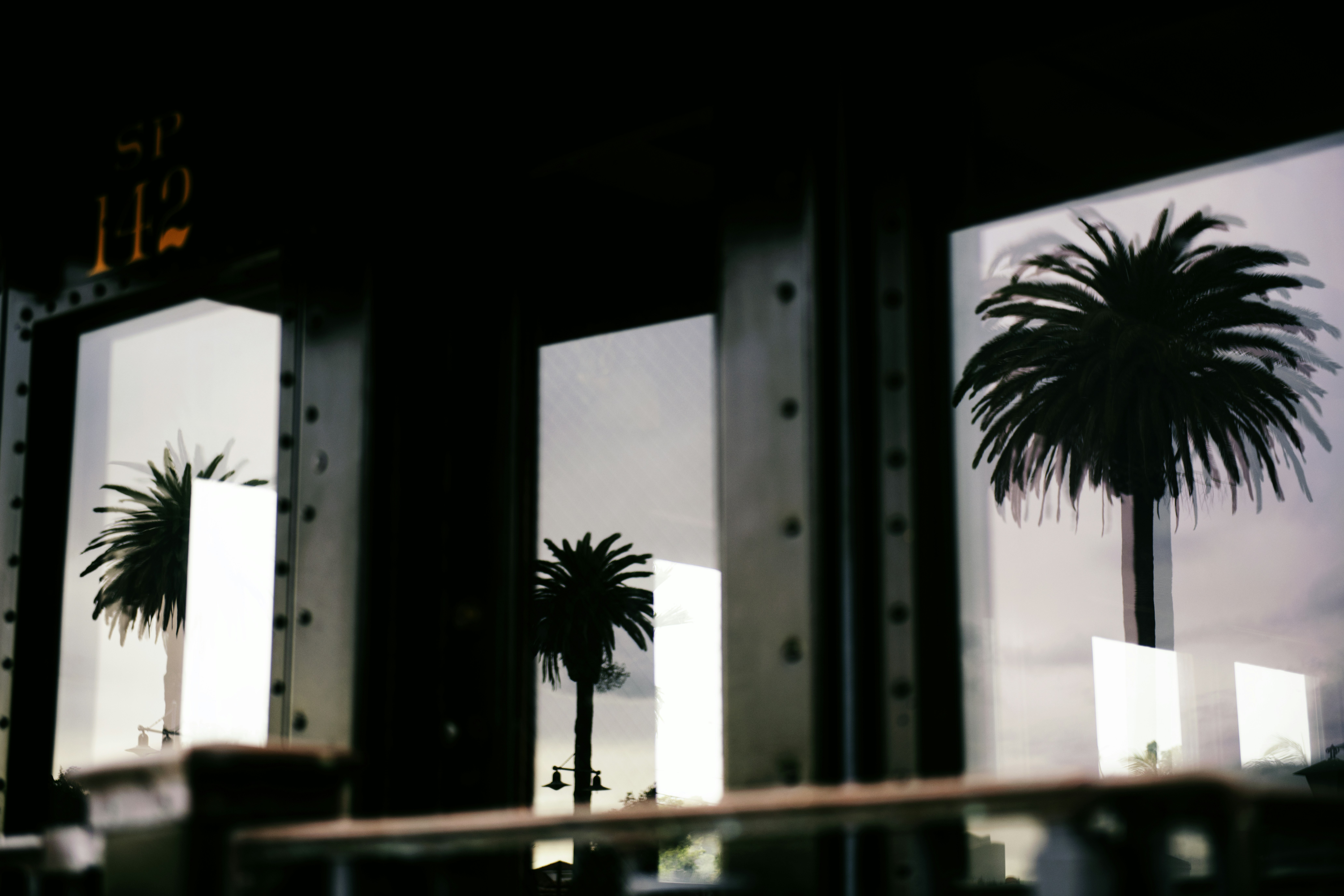 Palm trees reflected in tall glass windows against a dimly lit urban backdrop.