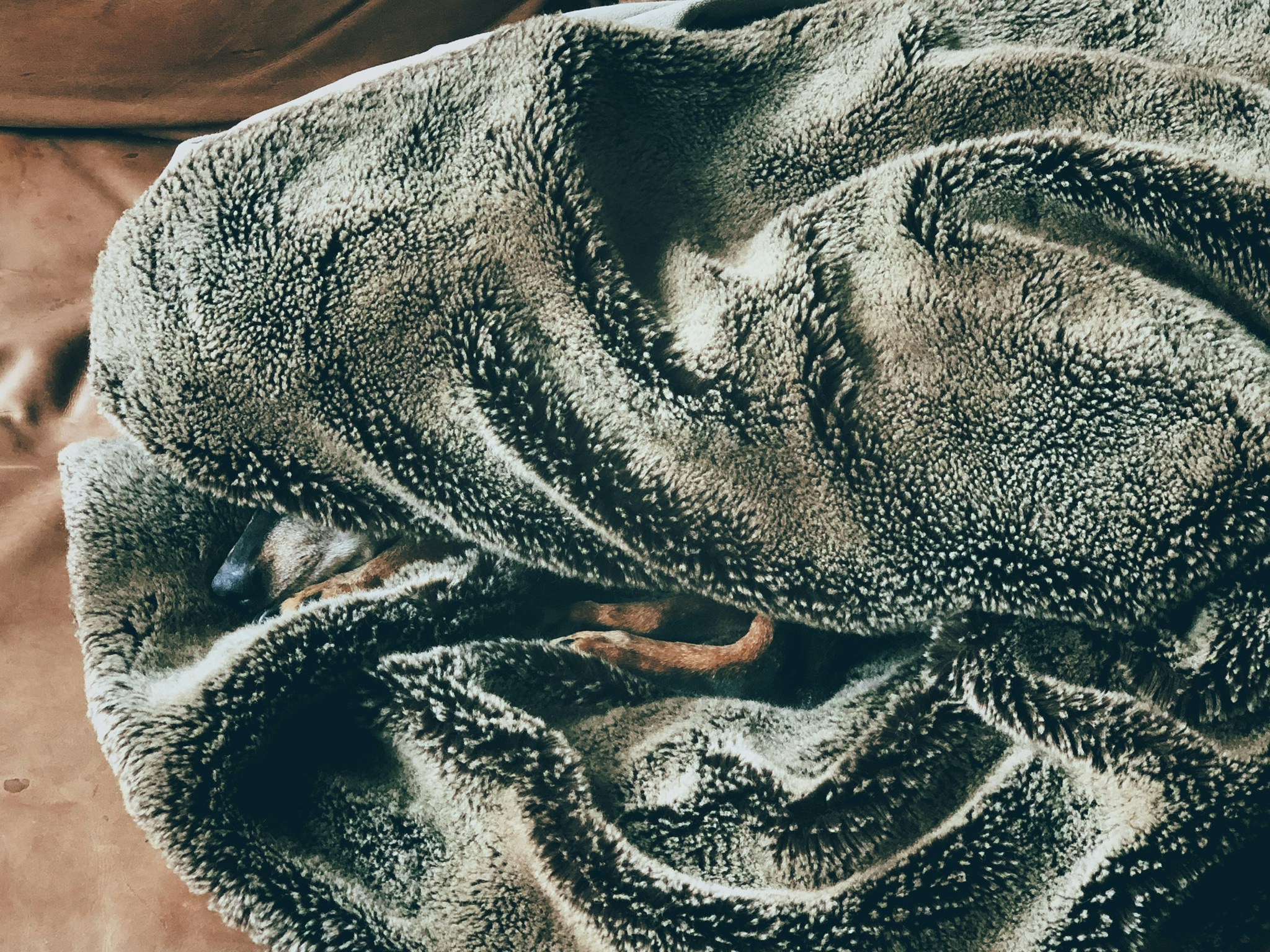 Dew-Kissed Folds: A Close-Up of Gray Microfiber Texture