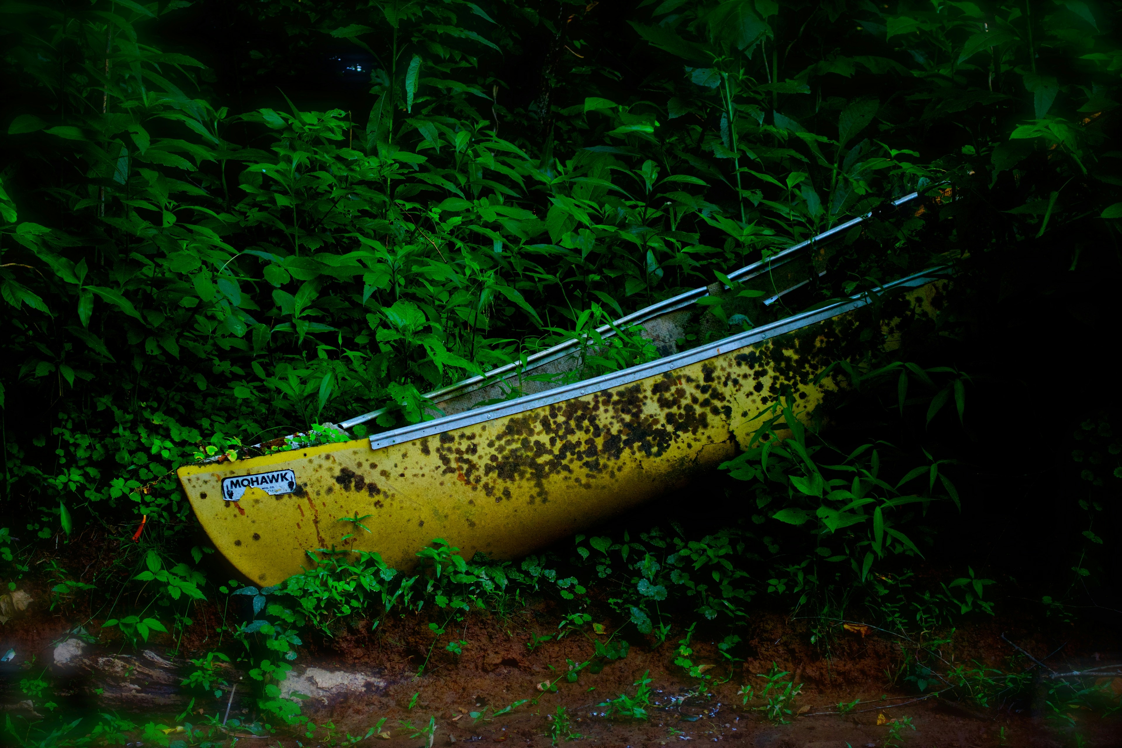 Nature's Embrace: The Abandoned Canoe