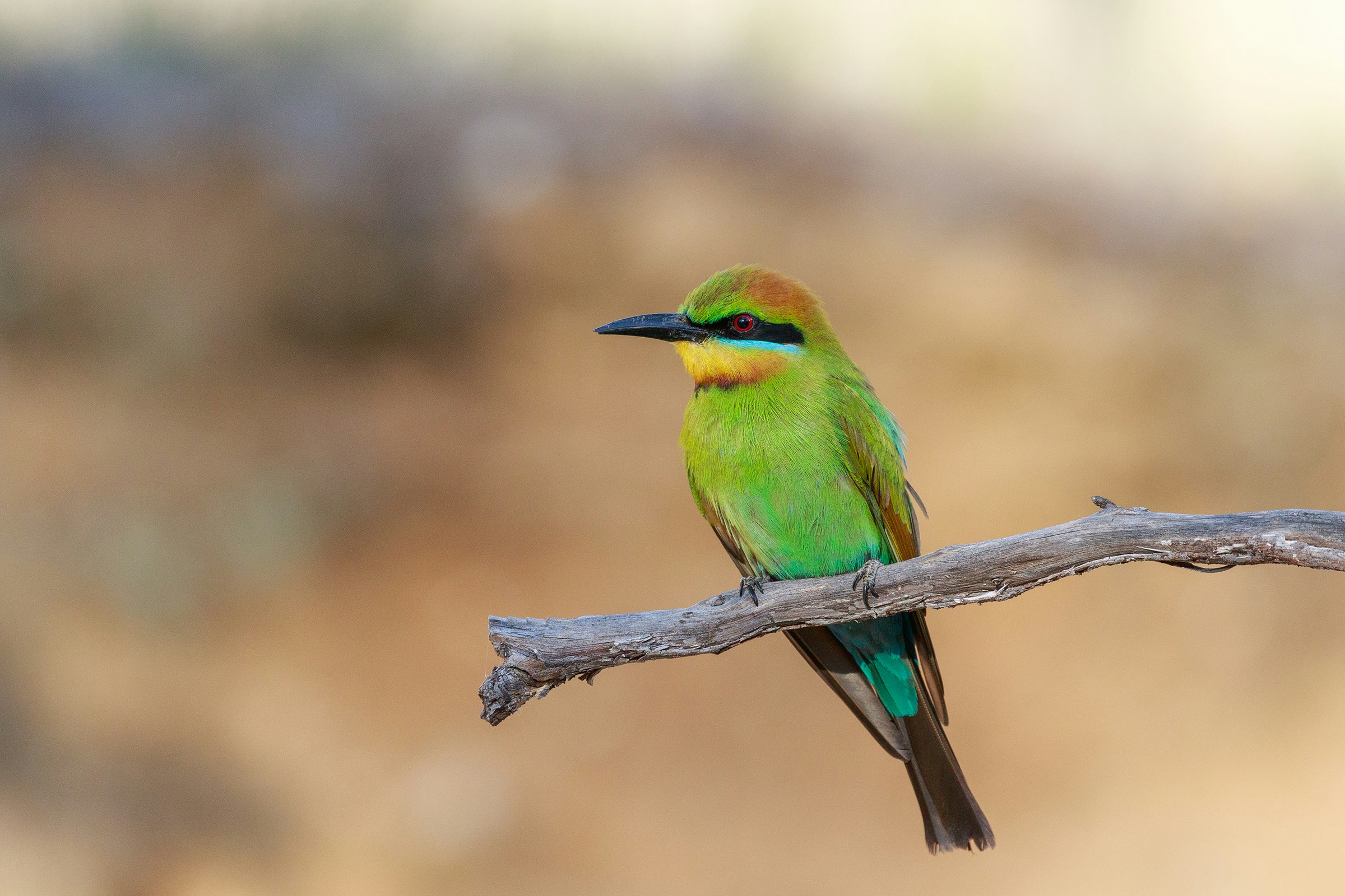 Geoff Park (@geoffpark) | Unsplash Photo Community