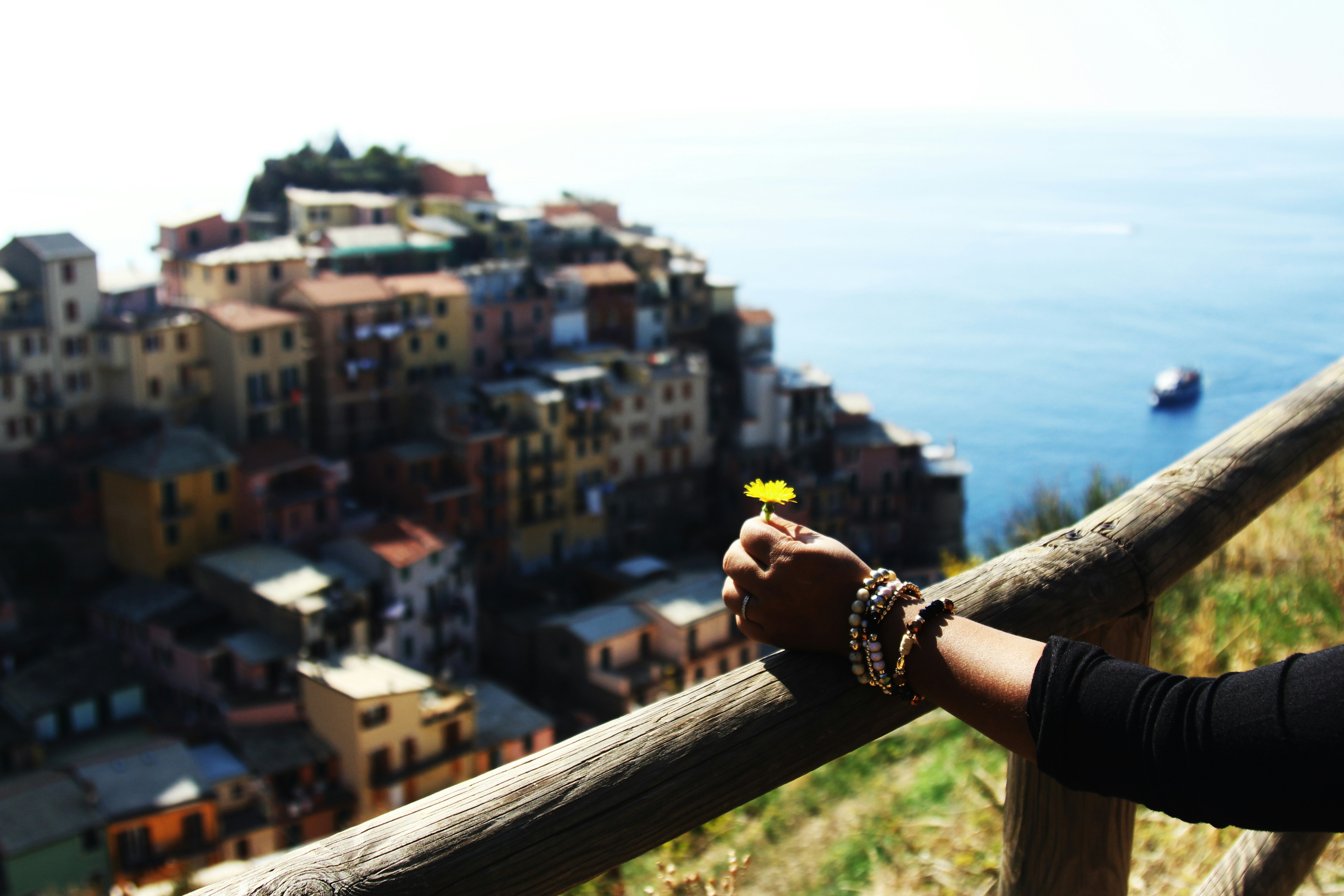 Yellow Bloom on the Railing: Quiet Gaze Over a Painted Coastal Town