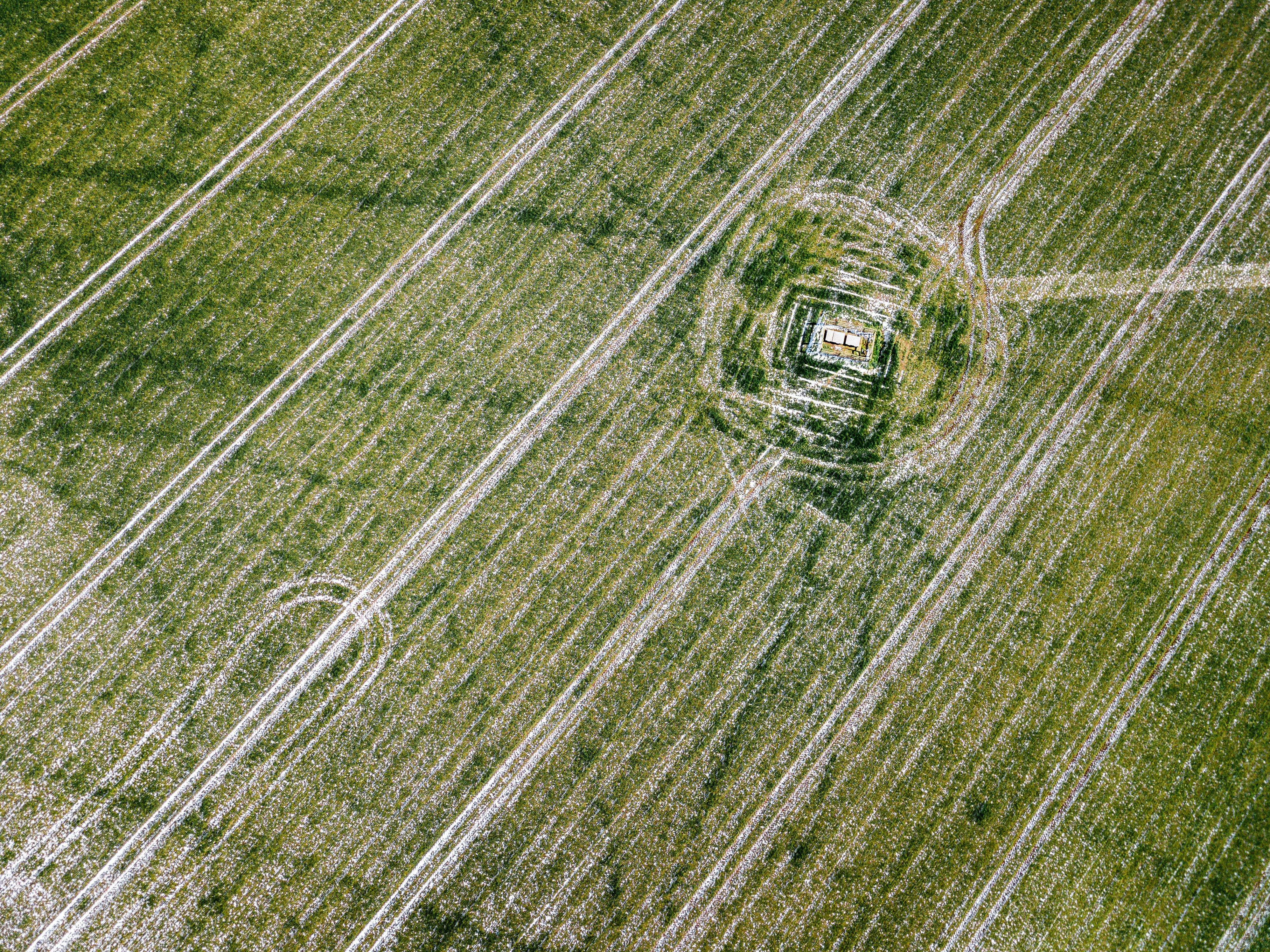 Circular Pivot Amid Linear Furrows: Aerial Grid of a Farm Field