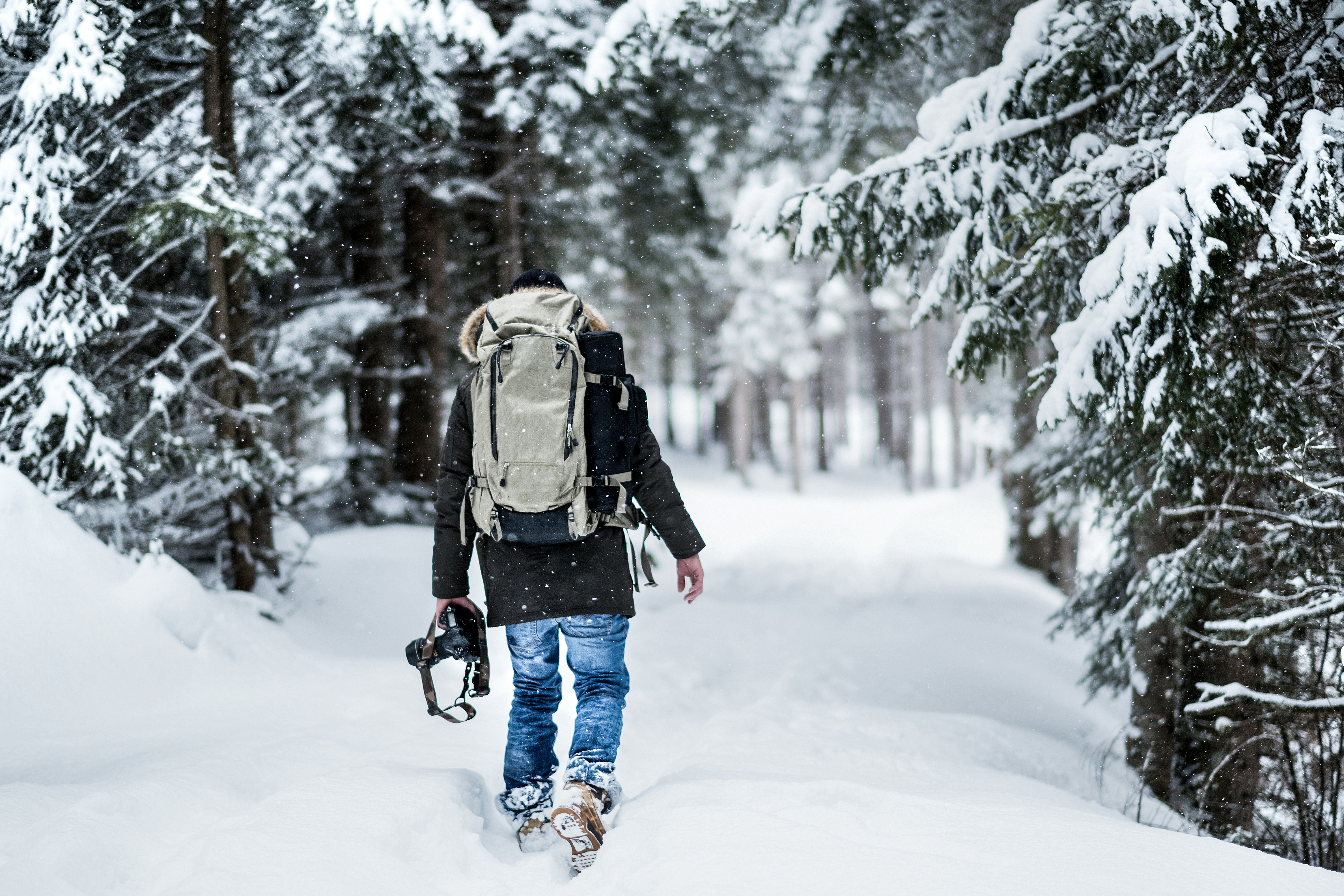 Hiker traversing a snow-covered forest path, surrounded by tall evergreen trees and gentle snowfall.