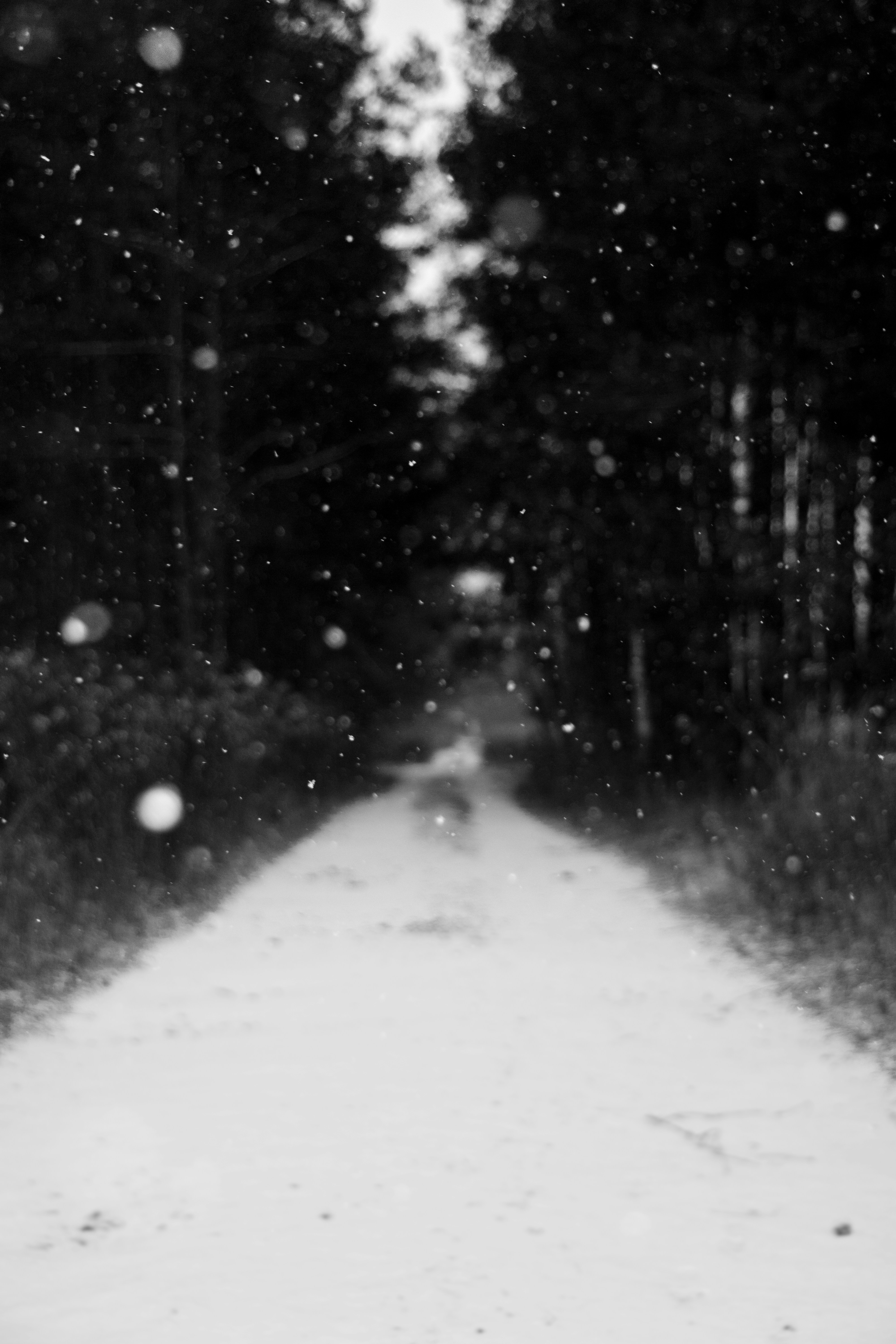 Grayscale photo of snow falling photo – Free Snow Image on Unsplash