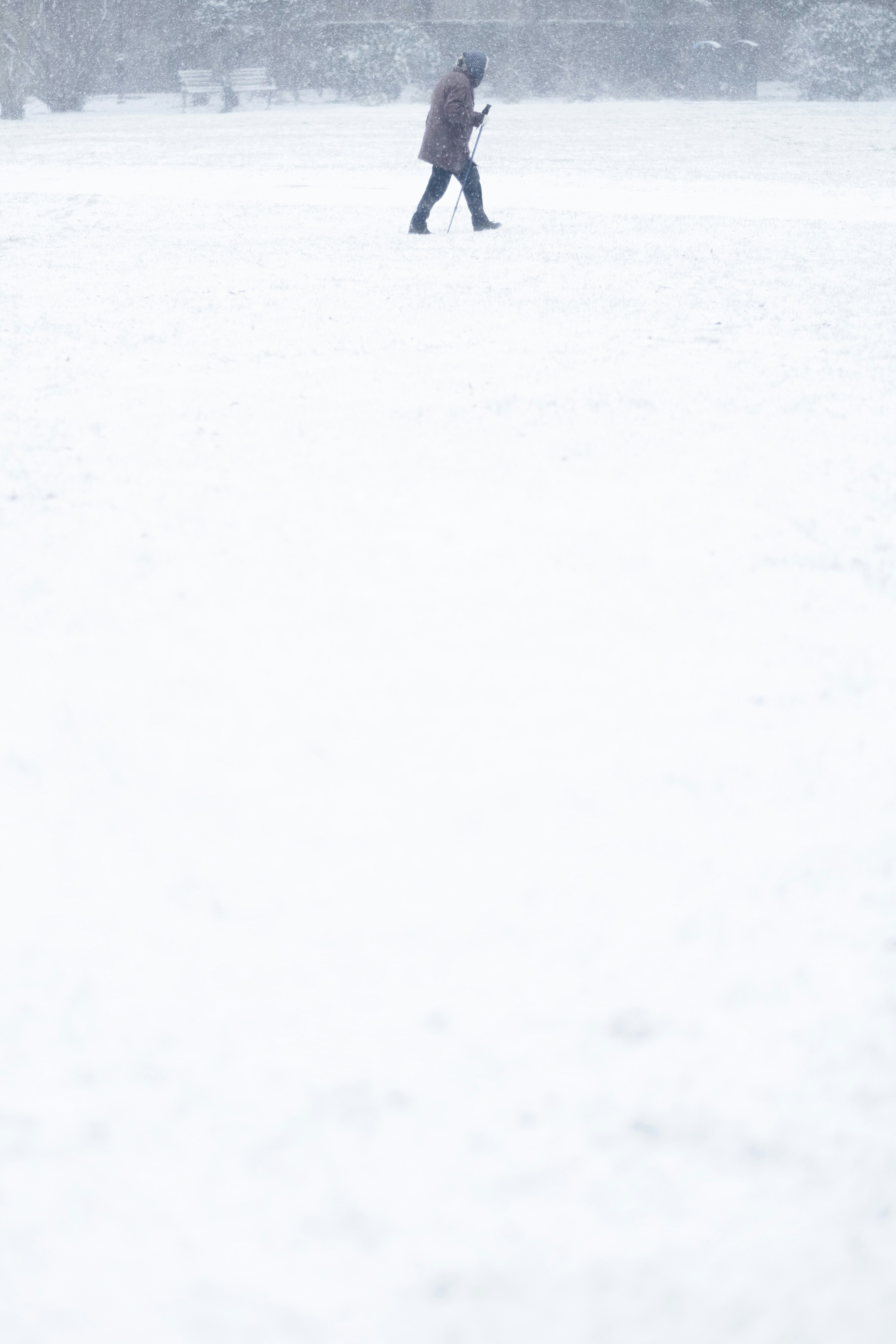 Craig Whitehead (@sixstreetunder) | Unsplash Photo Community