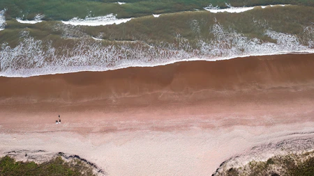 Coastal Harmony: Aerial View of Tranquil Shoreline