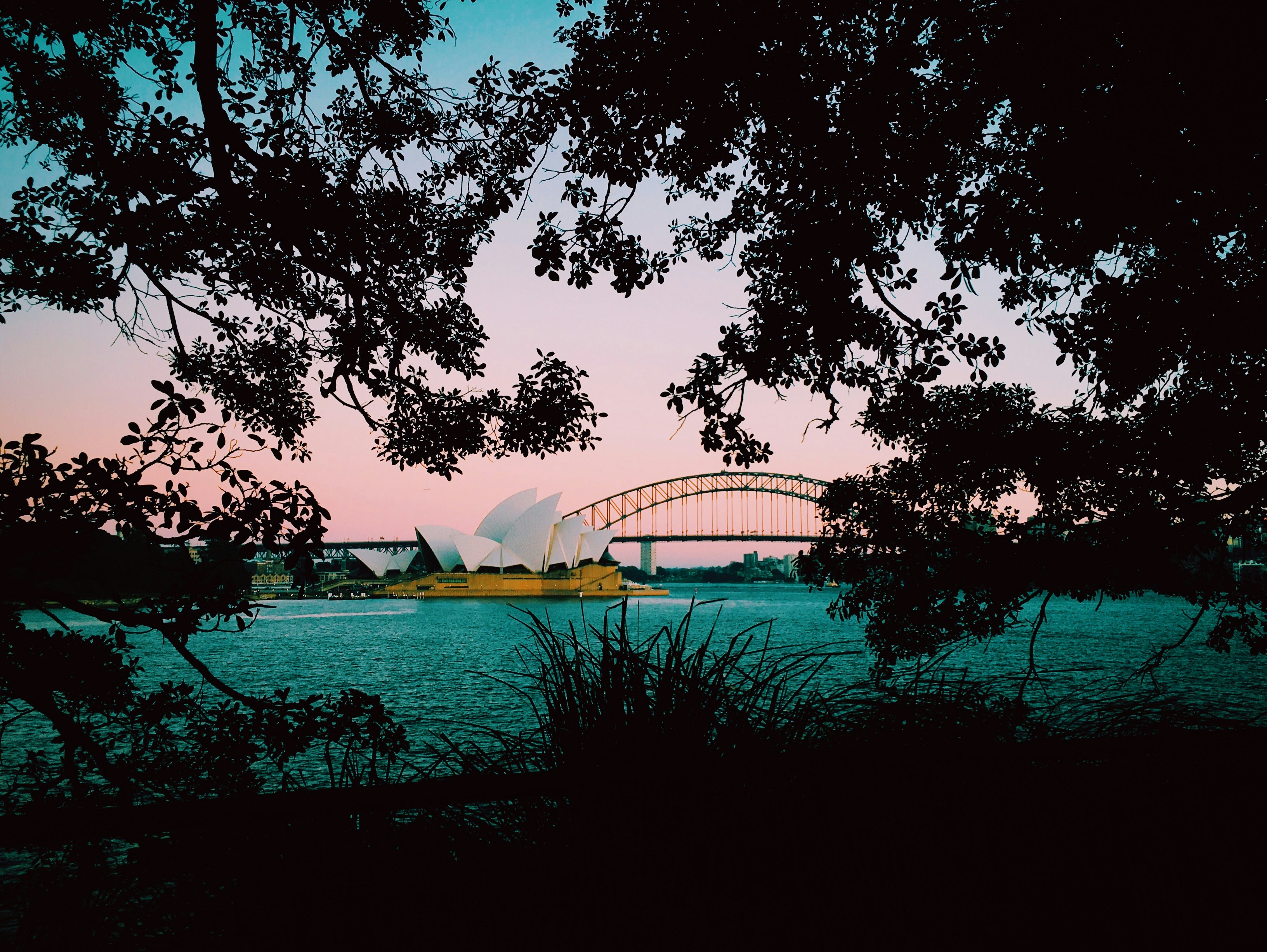 Sydney Sails at Dusk: Opera House Silhouettes Against a Pink Horizon