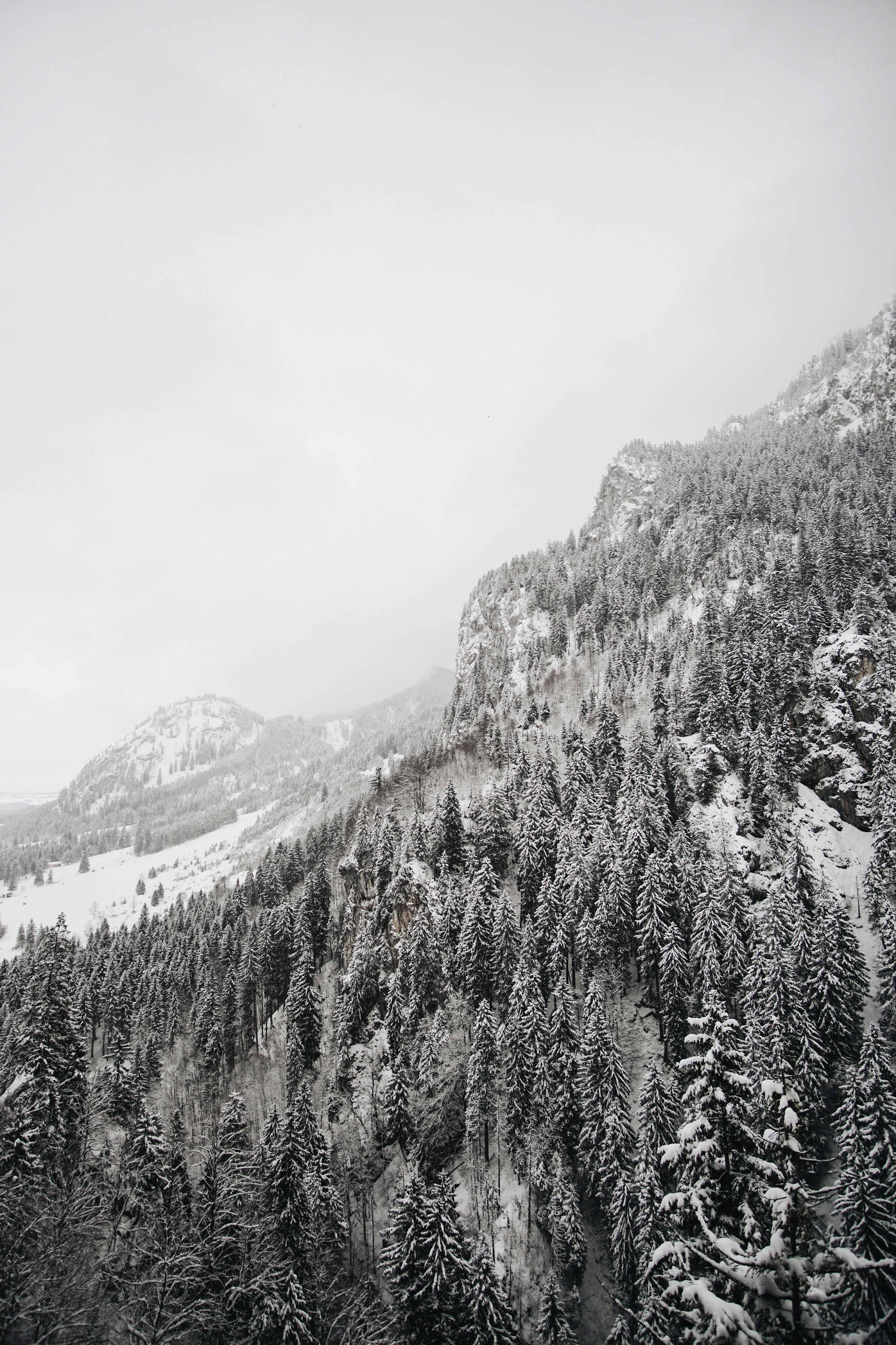 Snow-laden evergreen trees blanket the mountainside, creating a serene winter landscape under a cloudy sky.