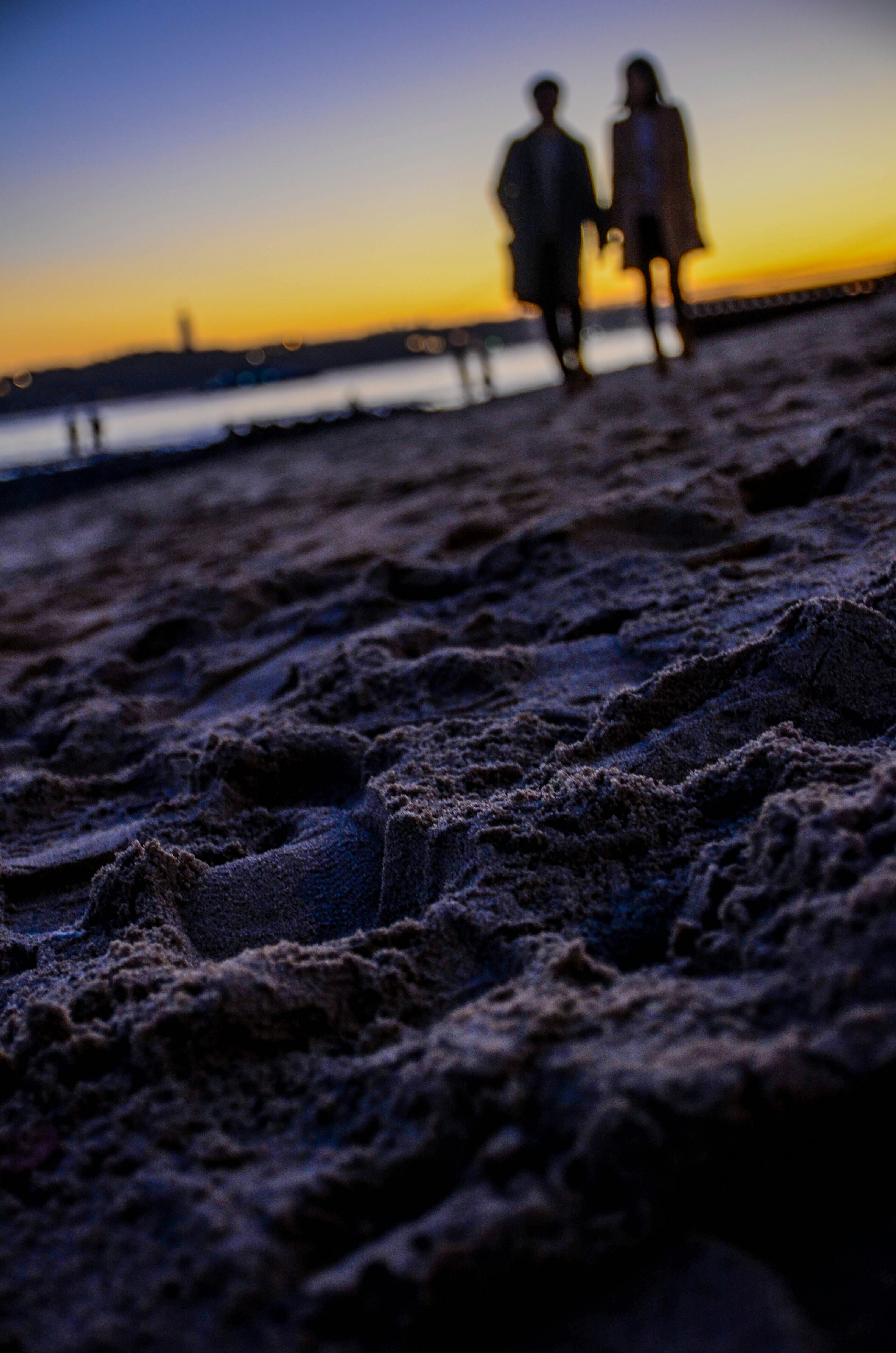 Silhouetted duet at the shoreline as twilight floods the sand
