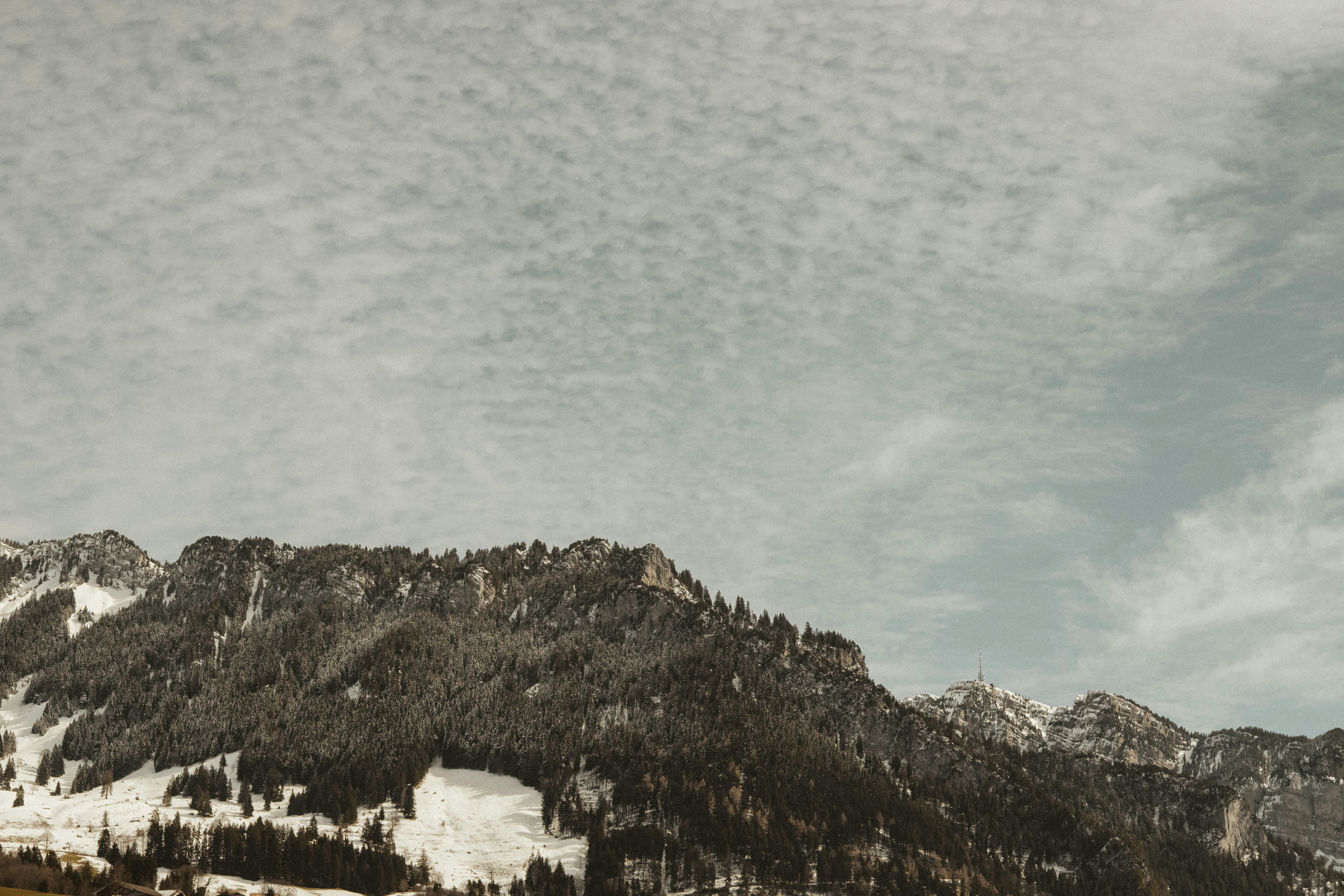 Landscape photograph of snow-dusted mountains and a pine hillside under a textured daytime sky.