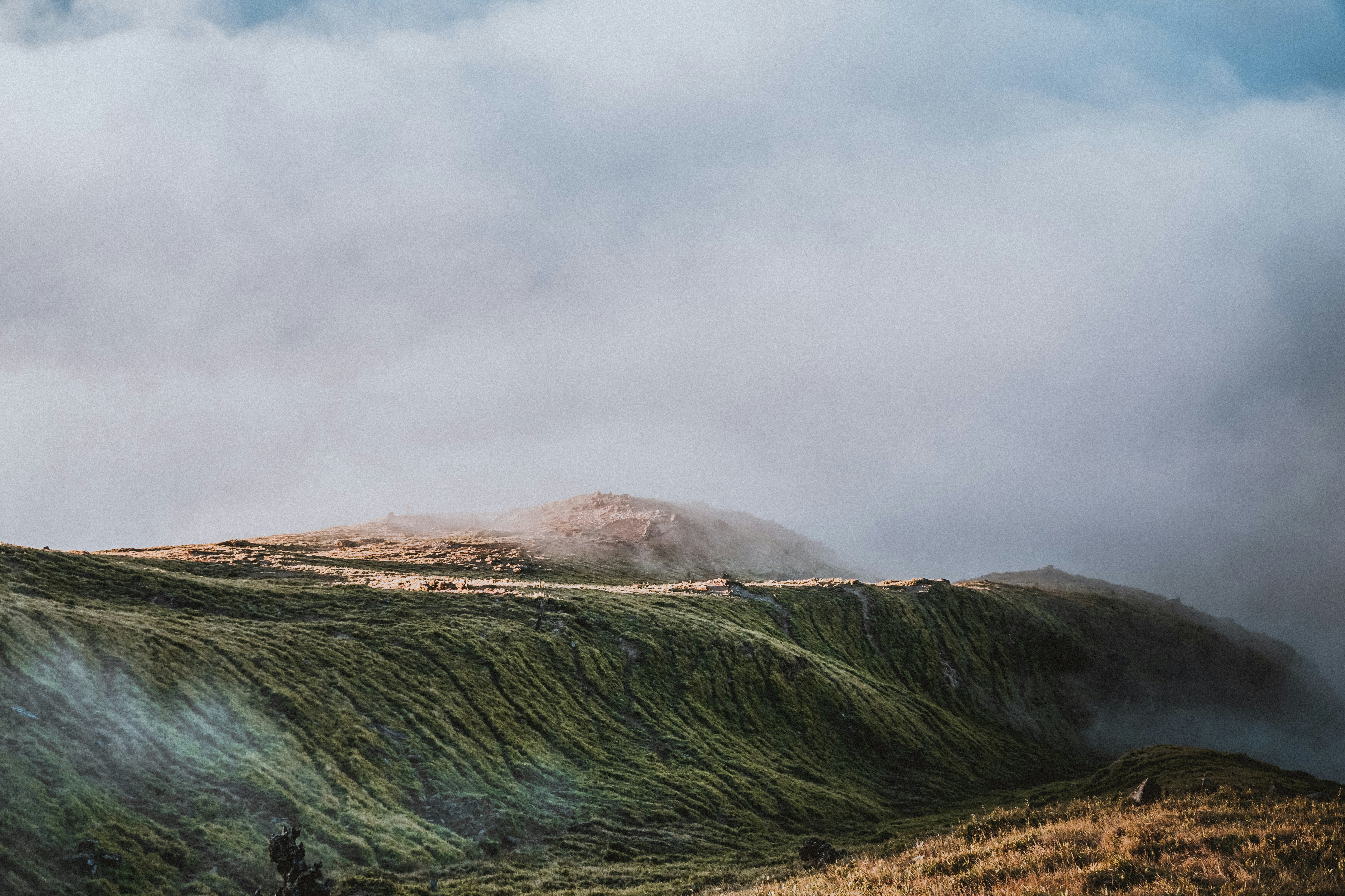 Rolling green hills shrouded in fog, evoking a serene and mysterious atmosphere.