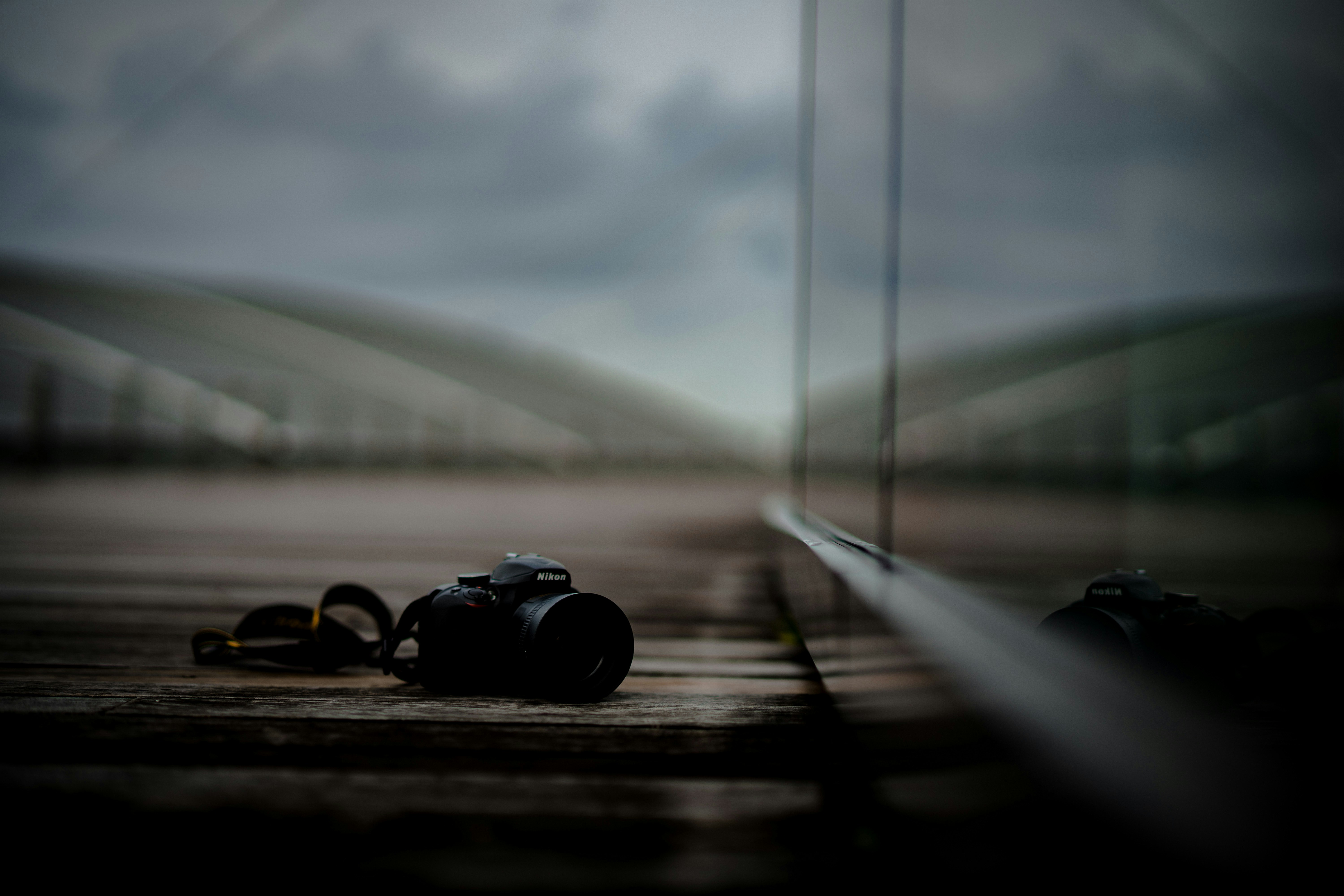 A Quiet Lens on the Wood: Camera Remnants and Reflection