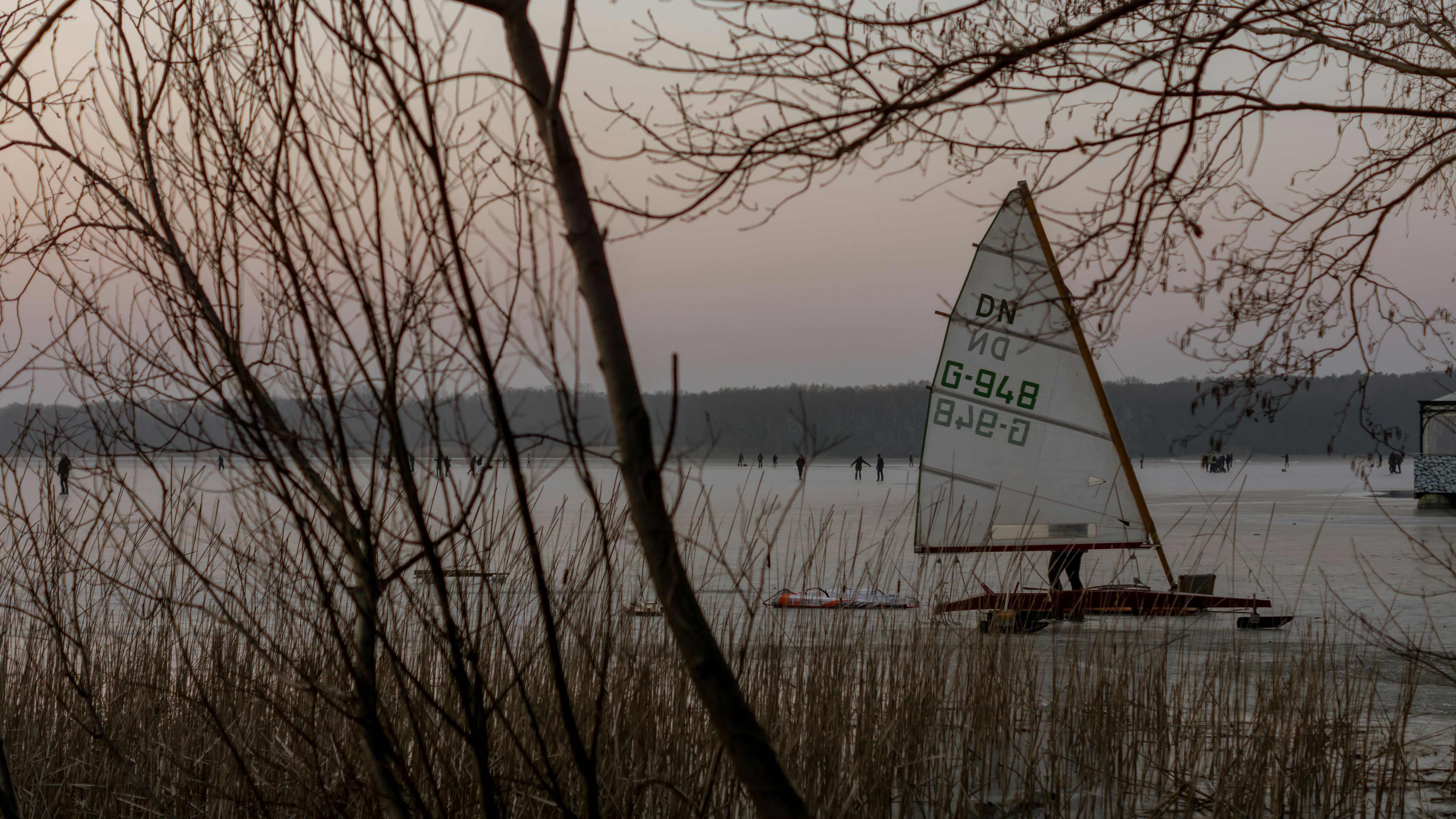 Last Light on a Still Lake: A Lone Sailboat Framed by Reeds