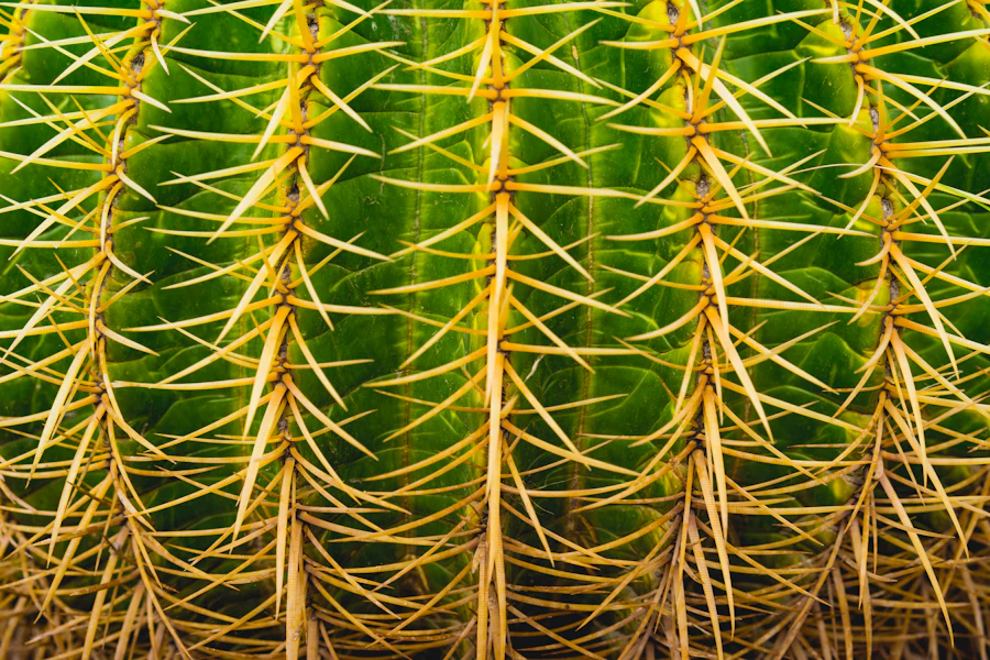 Close-up of a barrel cactus with dense yellow spines over glossy green ribs. The frame is filled edge to edge with repeating textures and pattern.