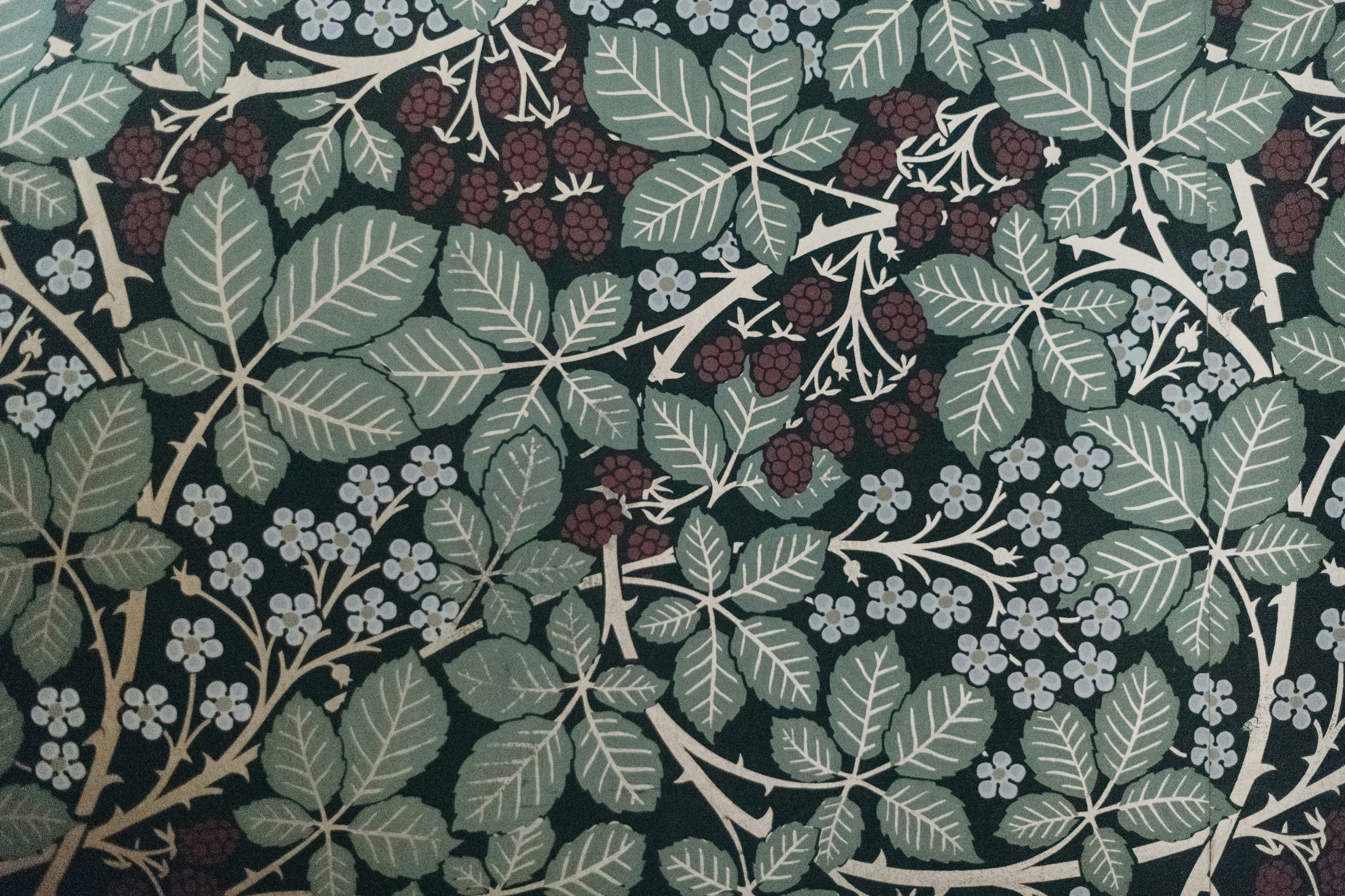 Photo by Nathan Anderson