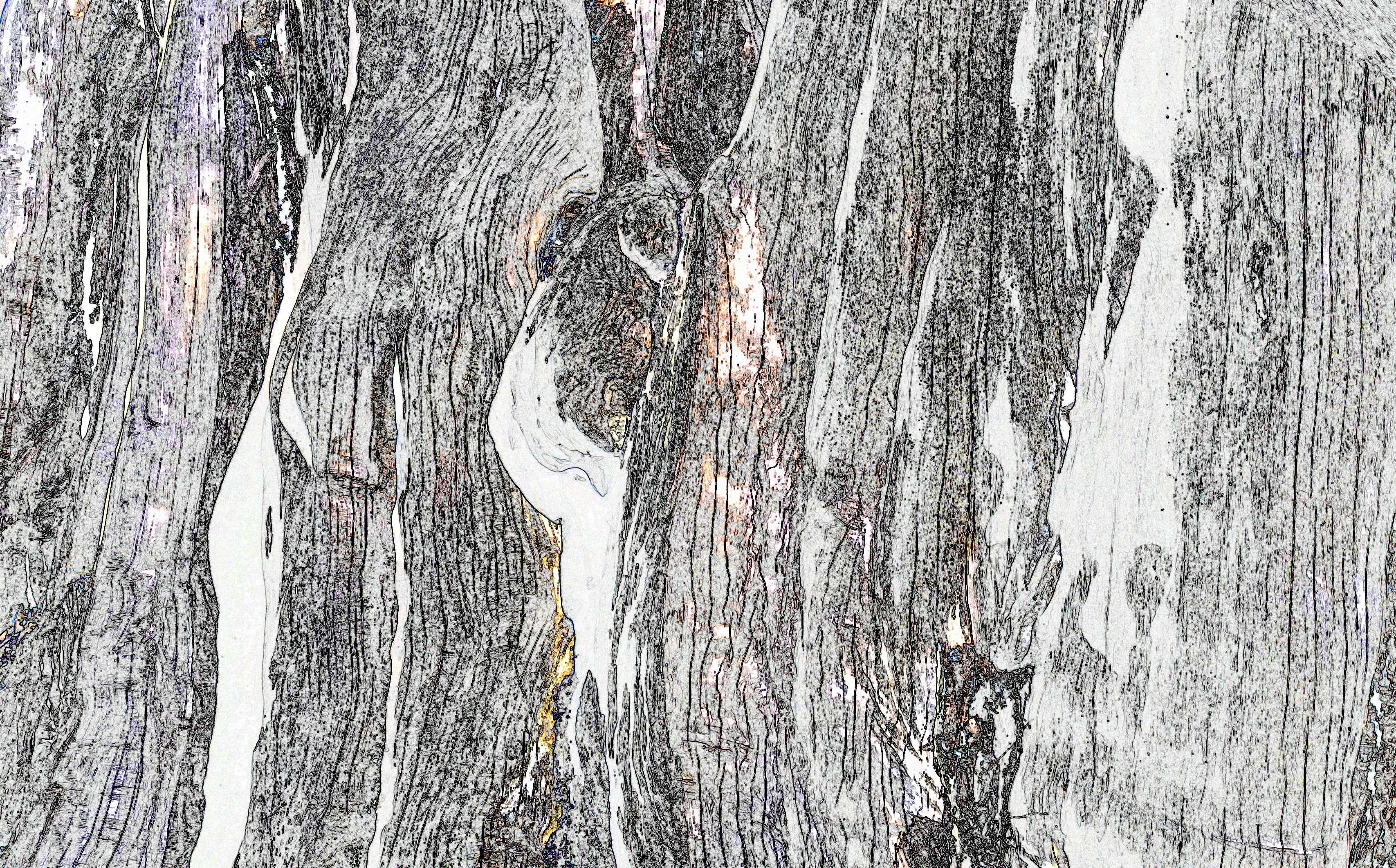 Neutral Colors Pictures | Download Free Images on Unsplash