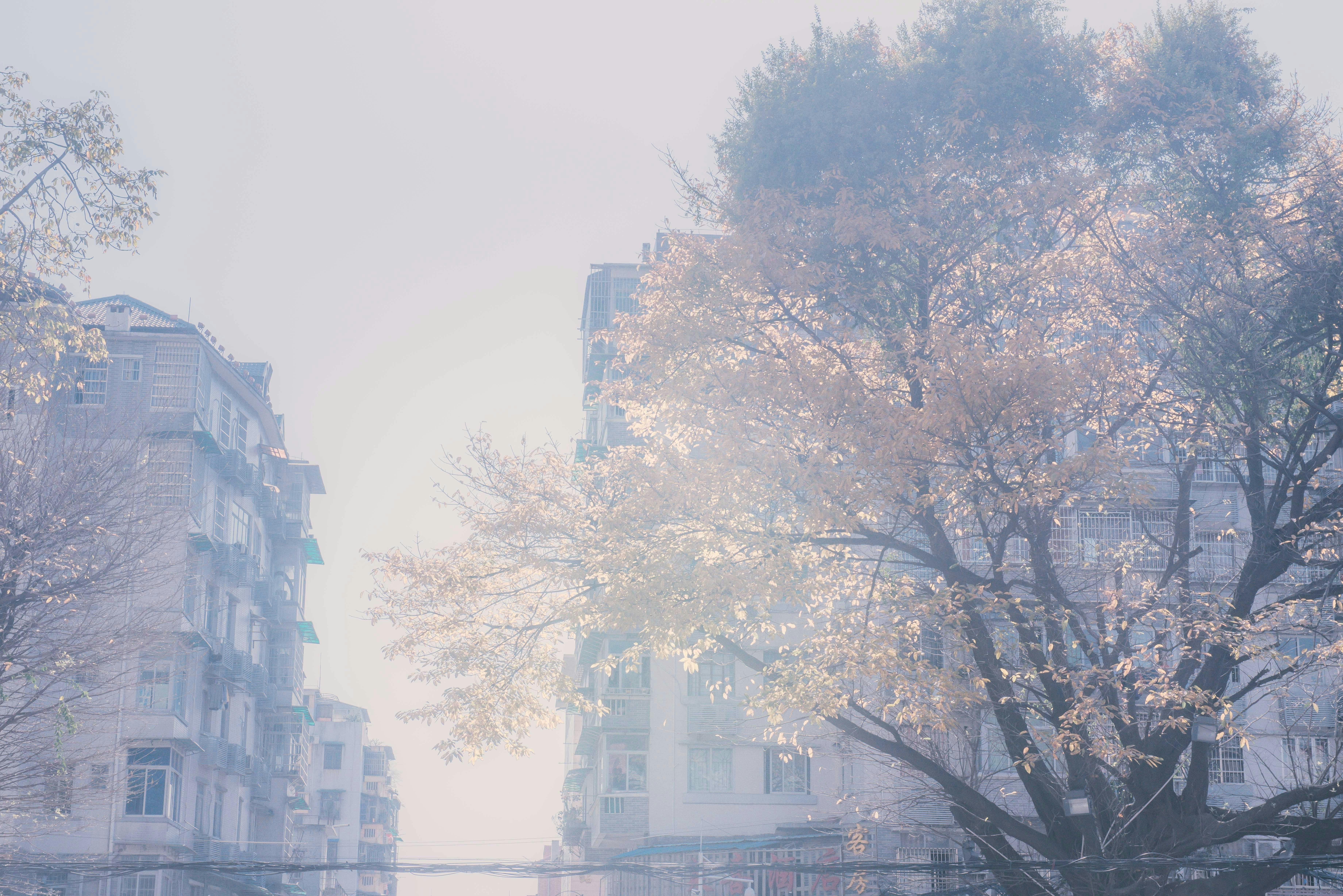 Meiying Ng (@meiying) | Unsplash Photo Community