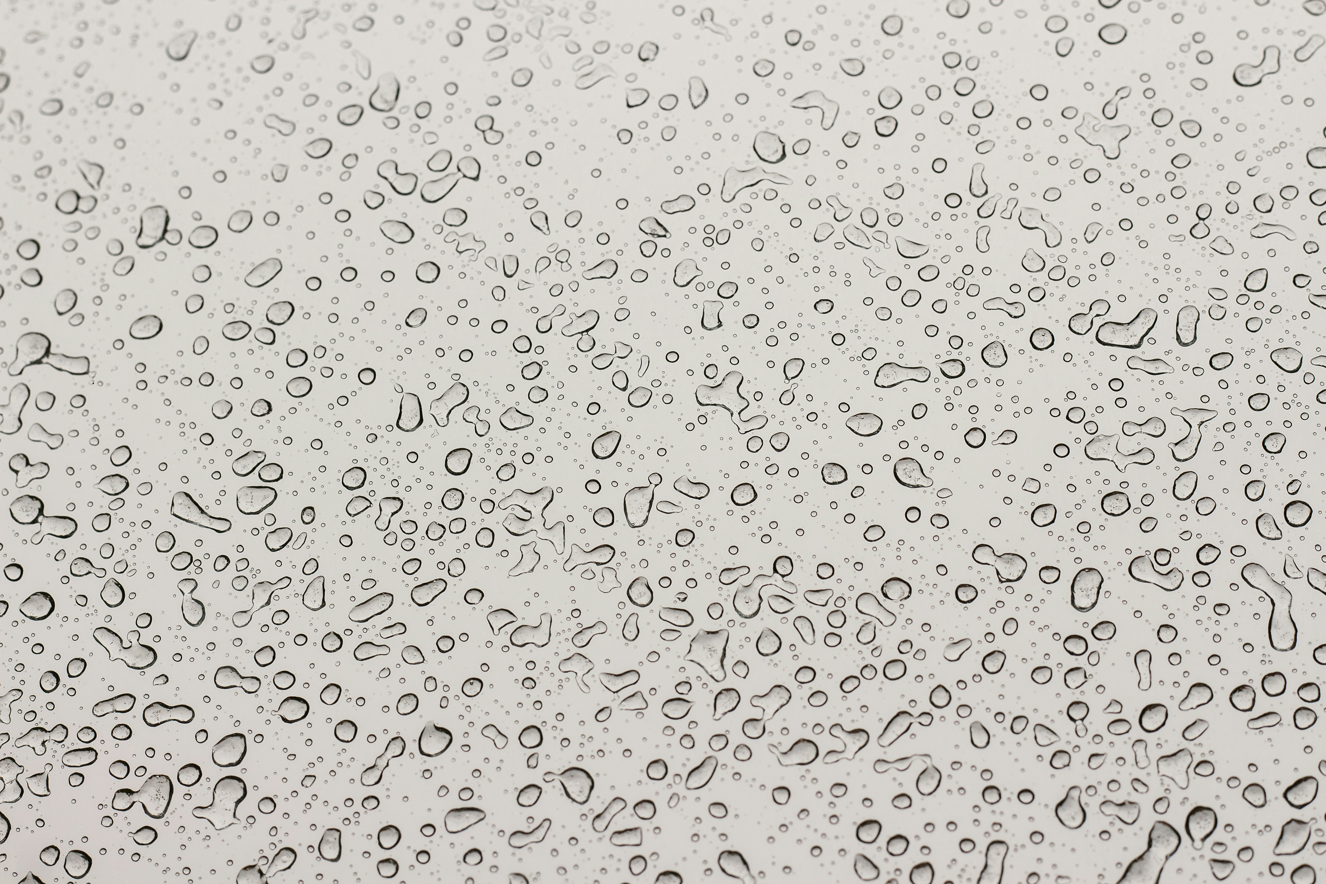 Water Droplets Pictures | Download Free Images on Unsplash