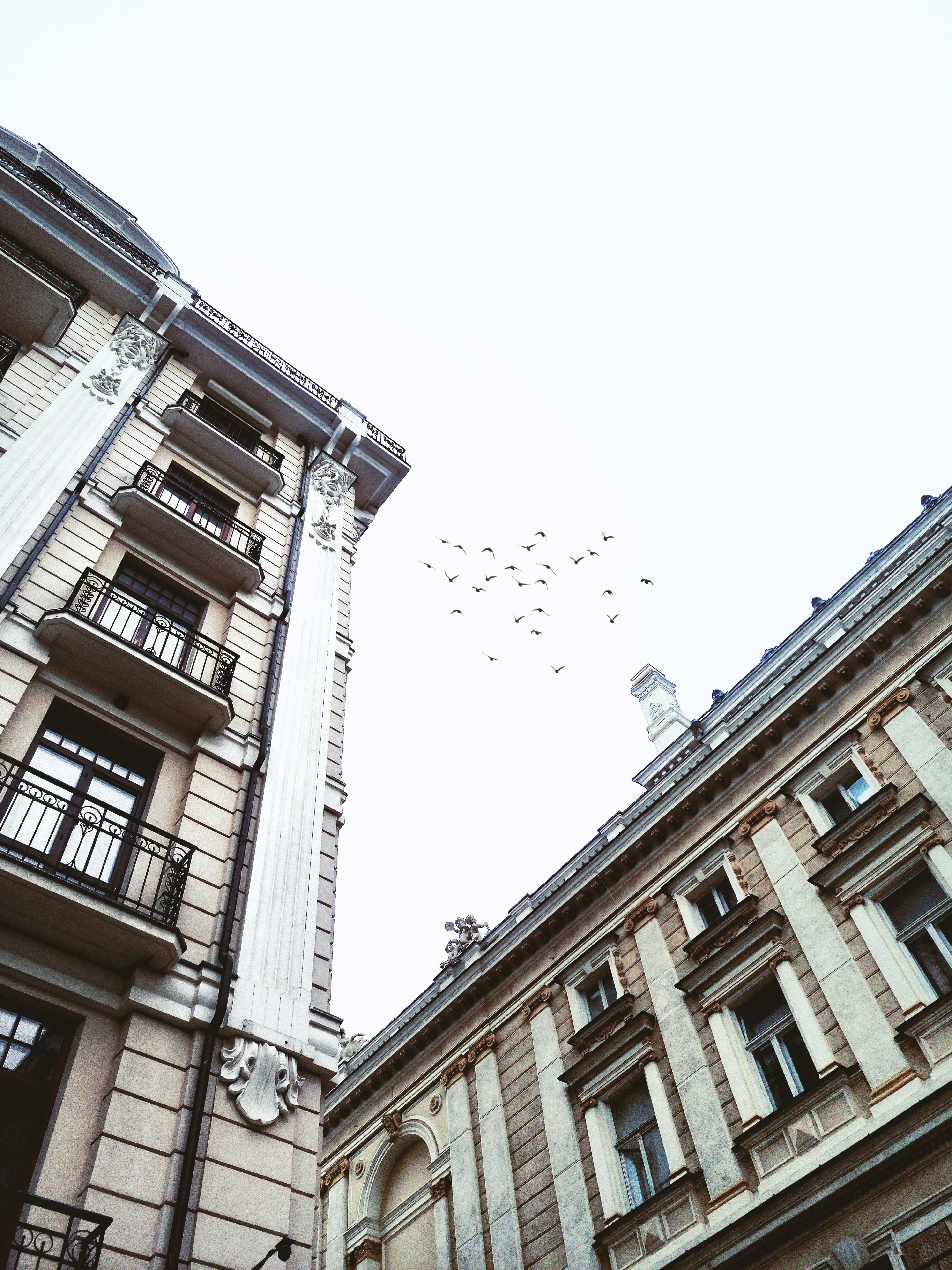 Worm's eye view of brown concrete building photo – Free Ukraine Image ...