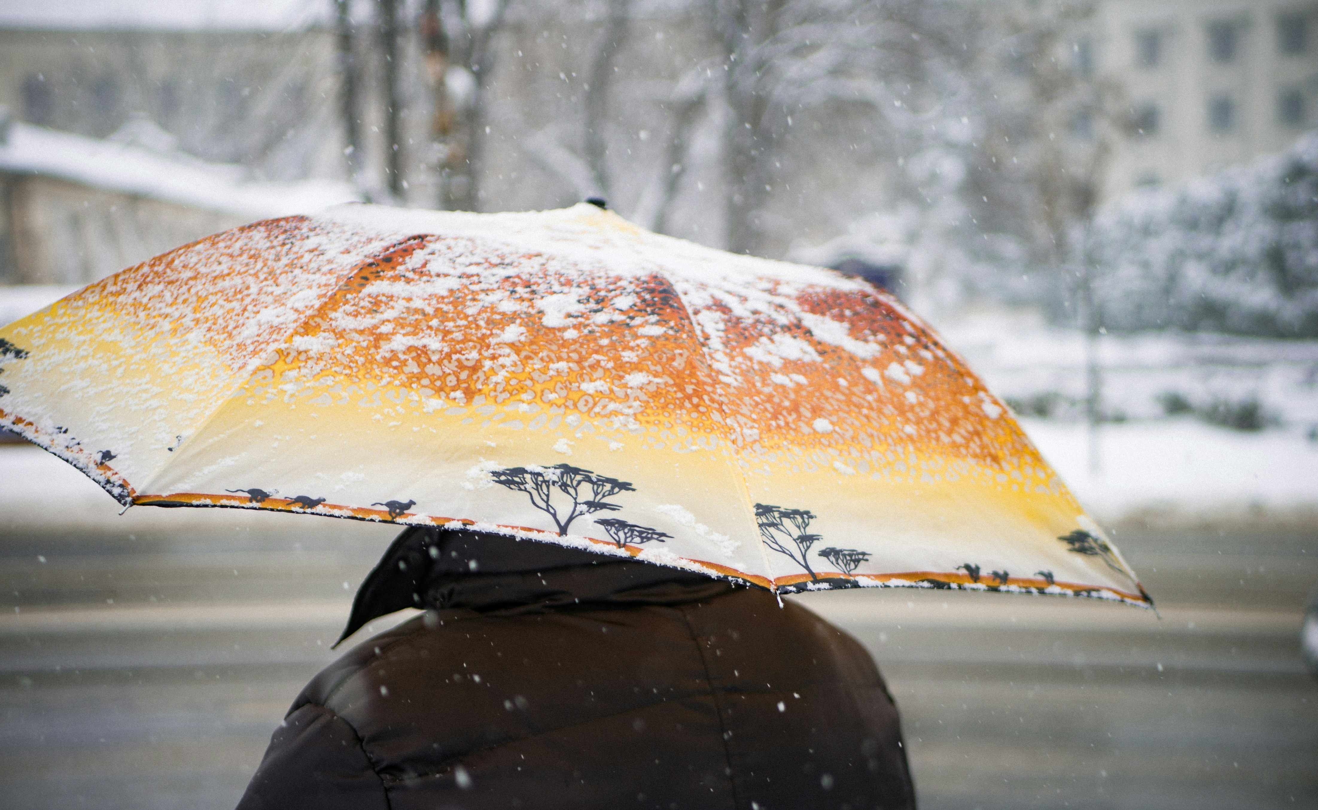 I took this picture on 23rd of March - snow fell heavy upon my hometown and I went out to take some photos and film randomly. I liked how the umbrella showed an illustration of summer/desert despite the weather being so cold and unusual for this time of year.