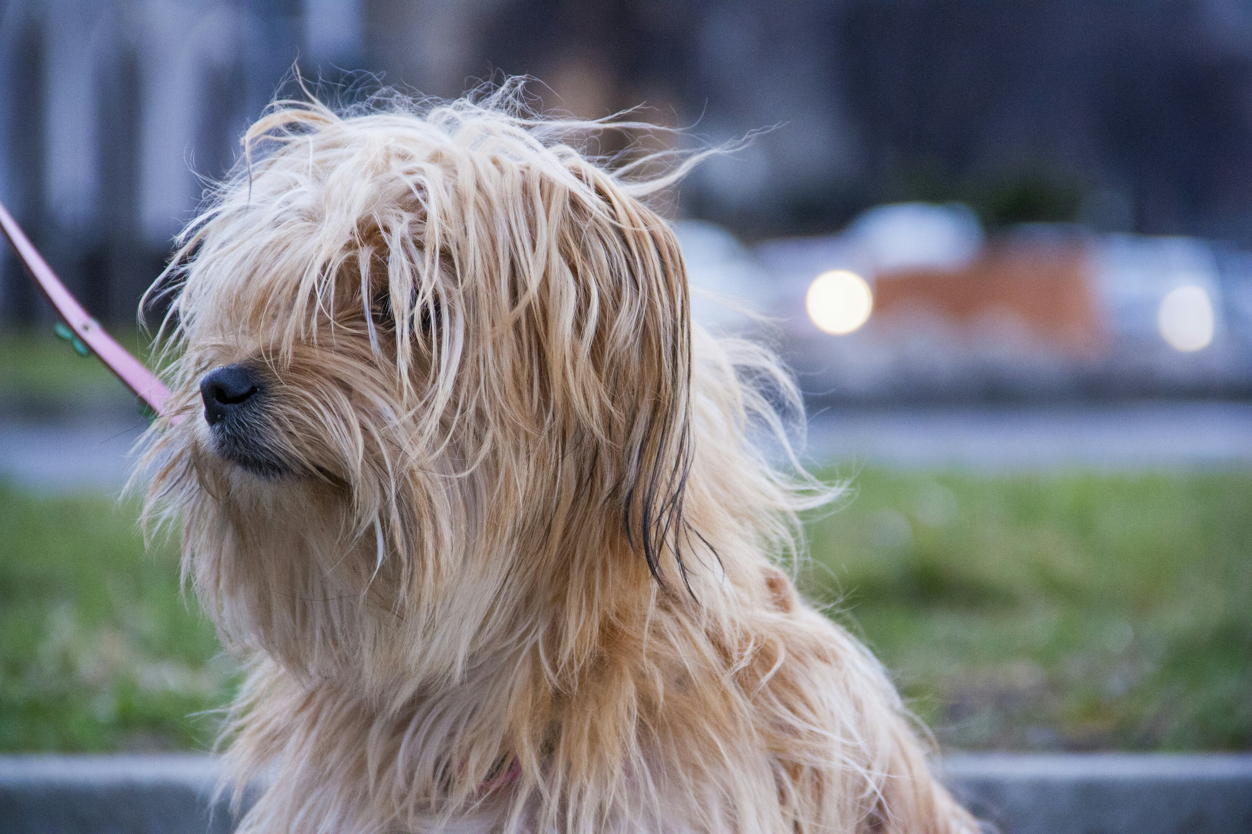 Liviu Roman (@liviuroman) | Communauté photos Unsplash