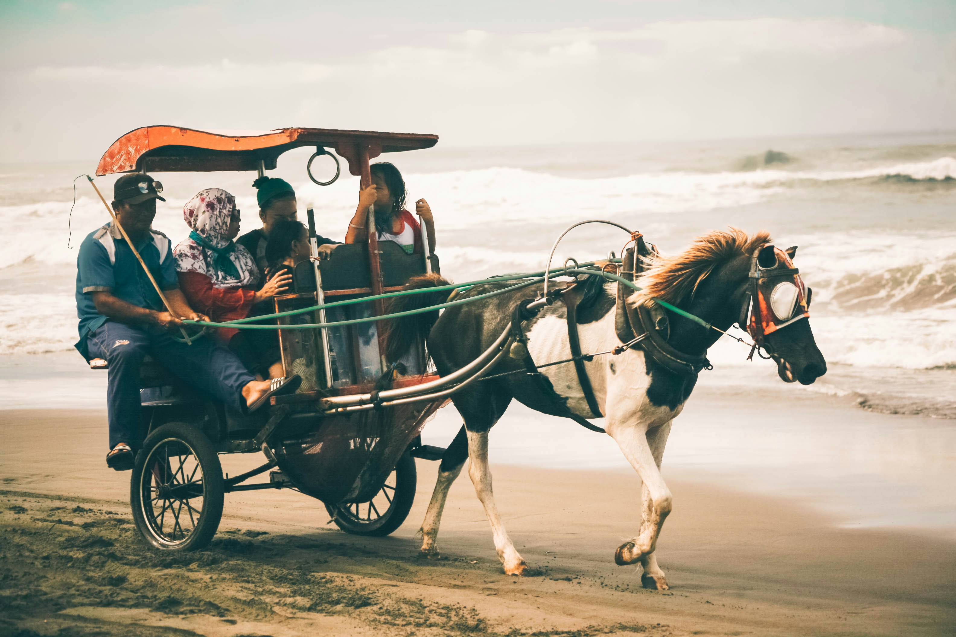 Horse And Buggy Pictures | Download Free Images on Unsplash